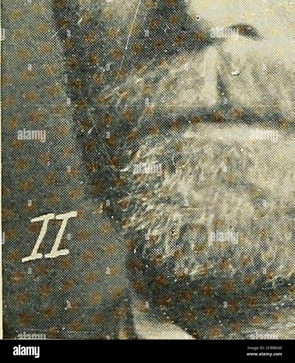 . Practical electro-therapeutics and X-ray therapy : with chapters on ...