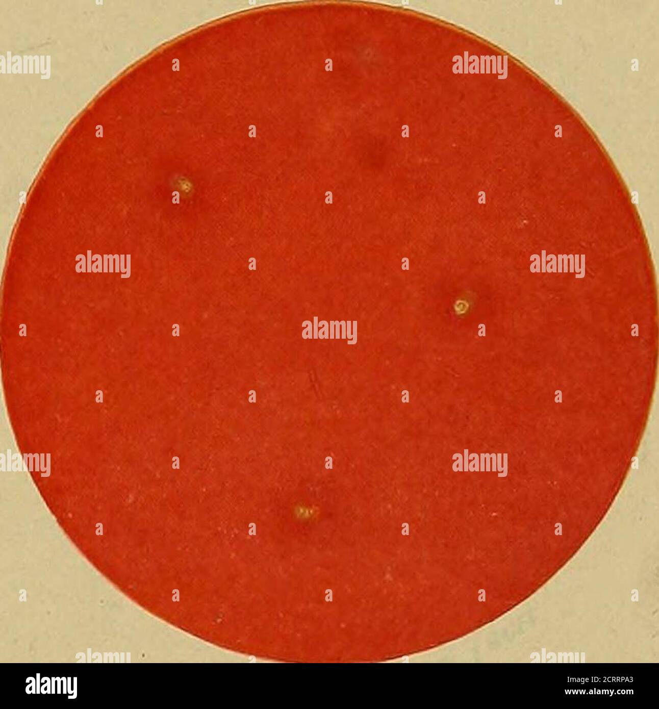 . A practical treatise on medical diagnosis for students and physicians ...