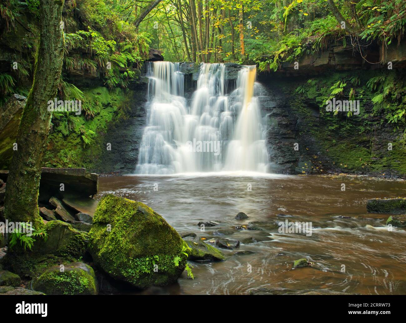 Goit stock harden hi-res stock photography and images - Alamy