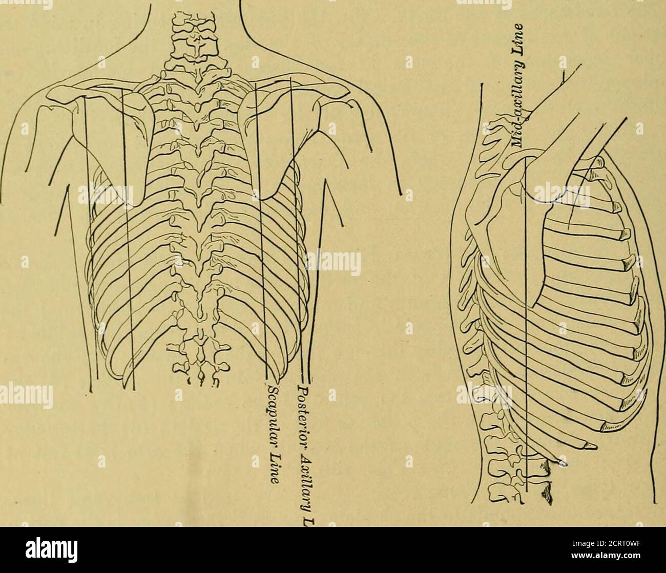 Transverse projection hi-res stock photography and images - Alamy