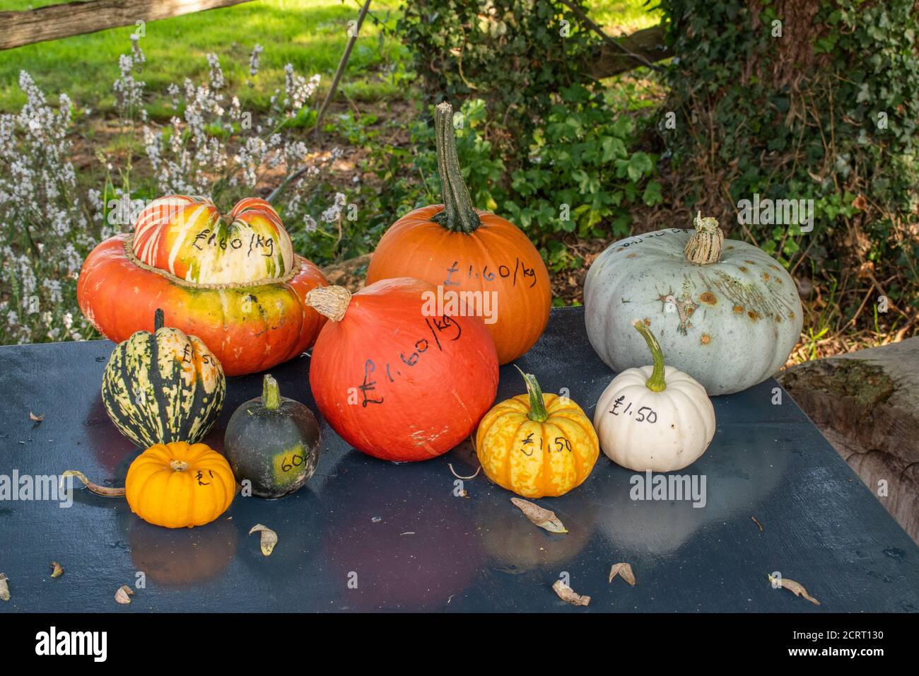 Will o' the wisp hi-res stock photography and images - Alamy