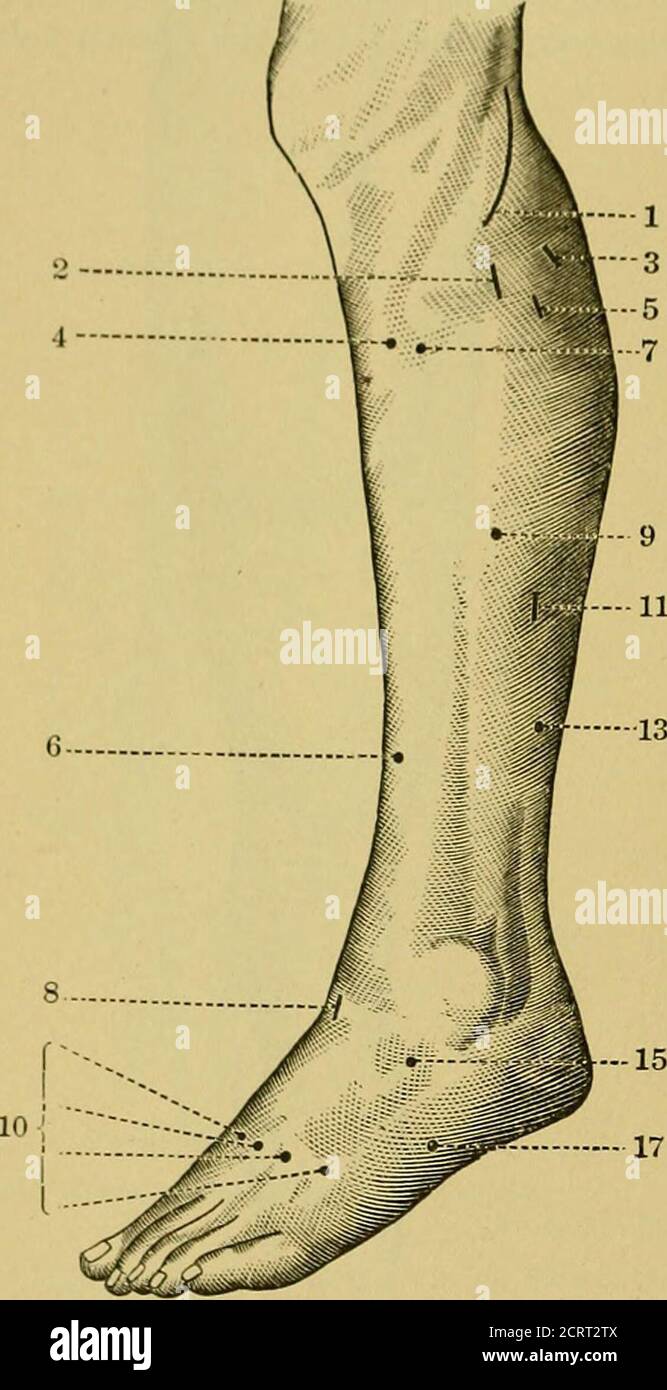 . A practical treatise on medical diagnosis for students and physicians ...