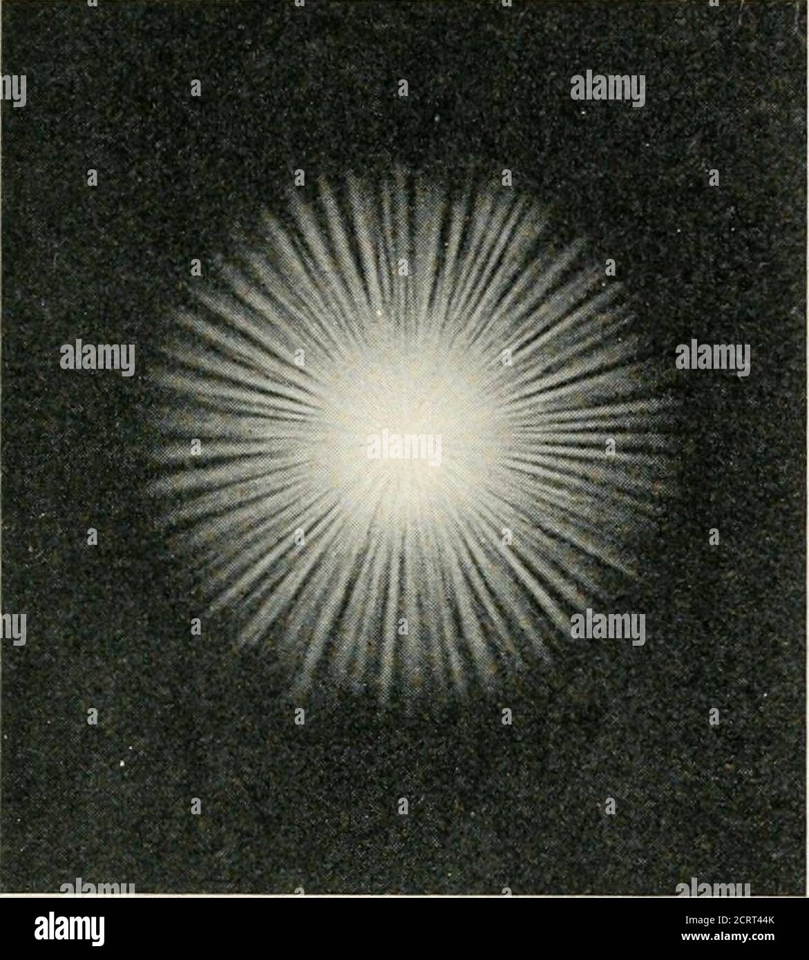 . The evolution of forces . ow theirdirection. Fig. 7 shows the lines ...