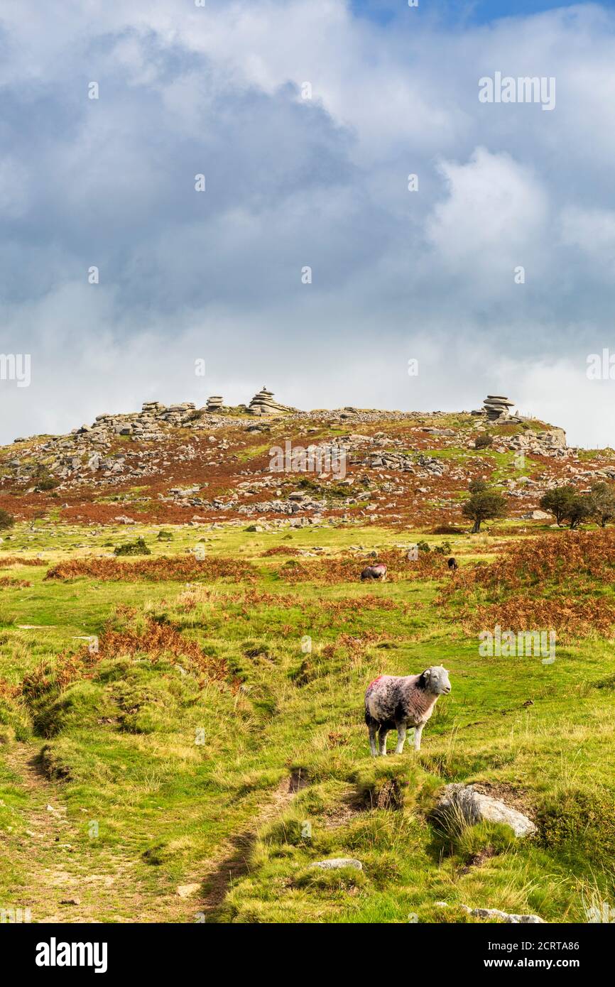 The Cheesewring on Bodmin Moor in Cornwall, England Stock Photo - Alamy