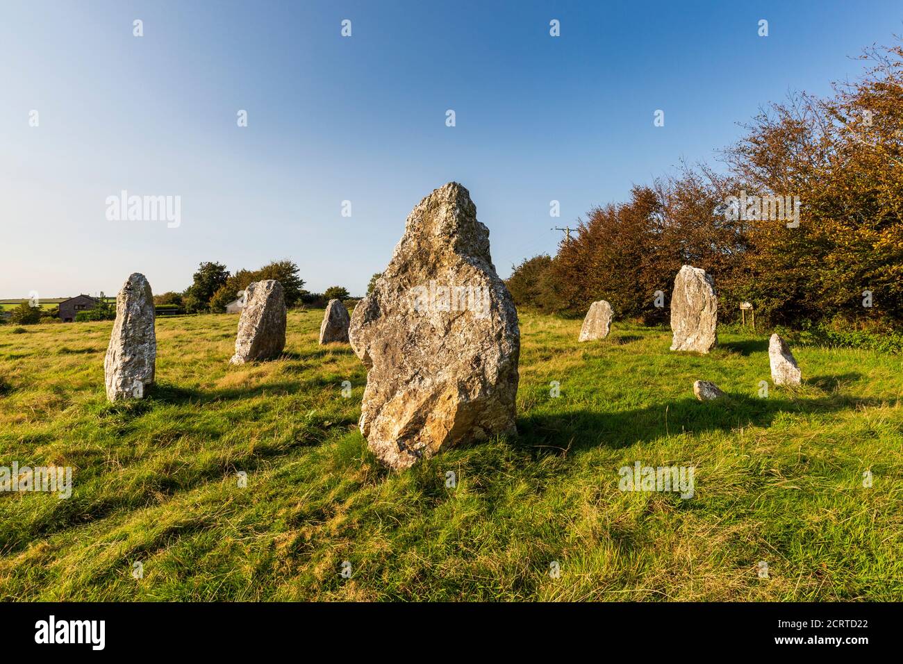 Late afternoon at Duloe Bronze Age Stone Circle in Cornwall, England ...