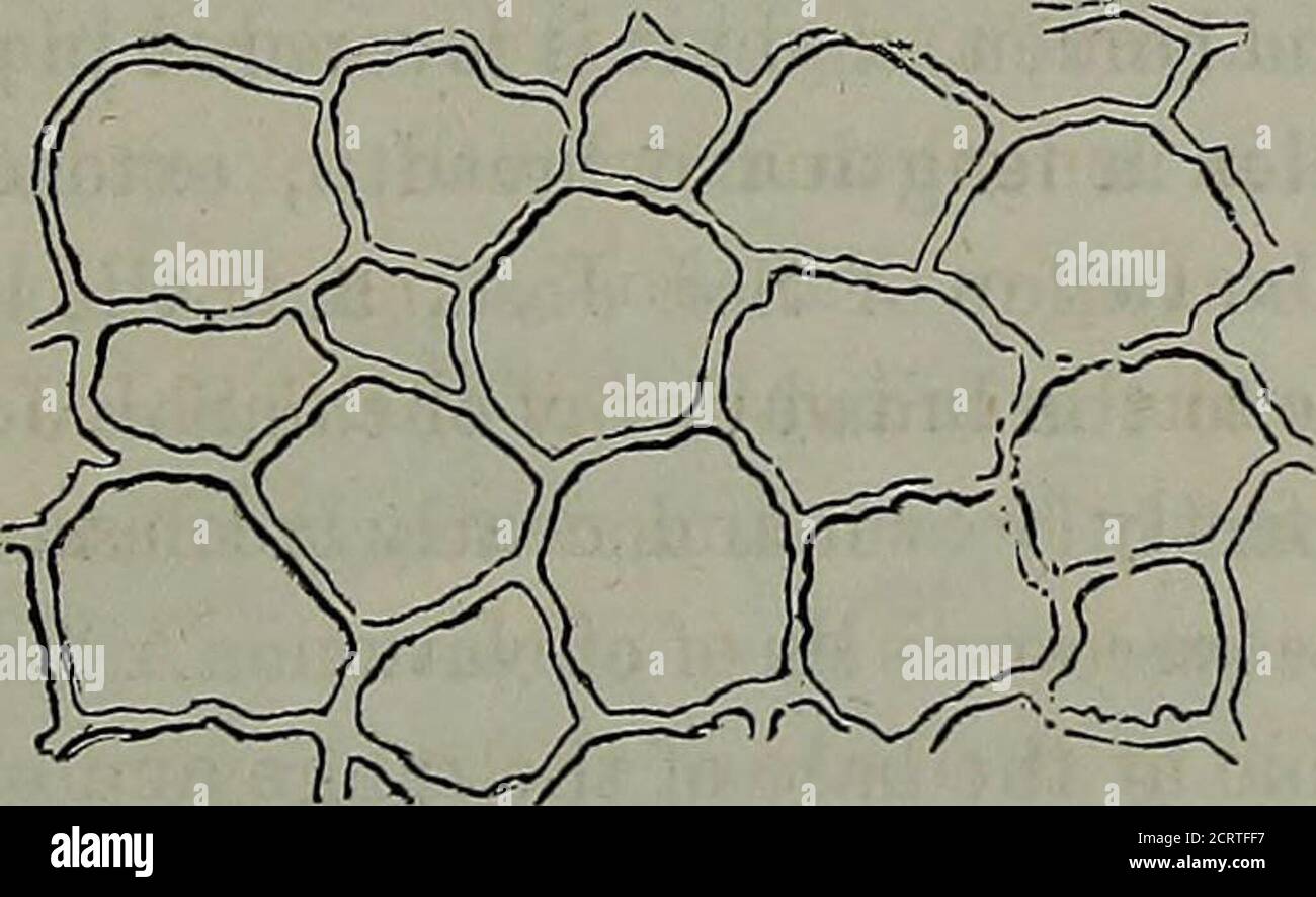 . Reports of explorations and surveys, to ascertain the most ...