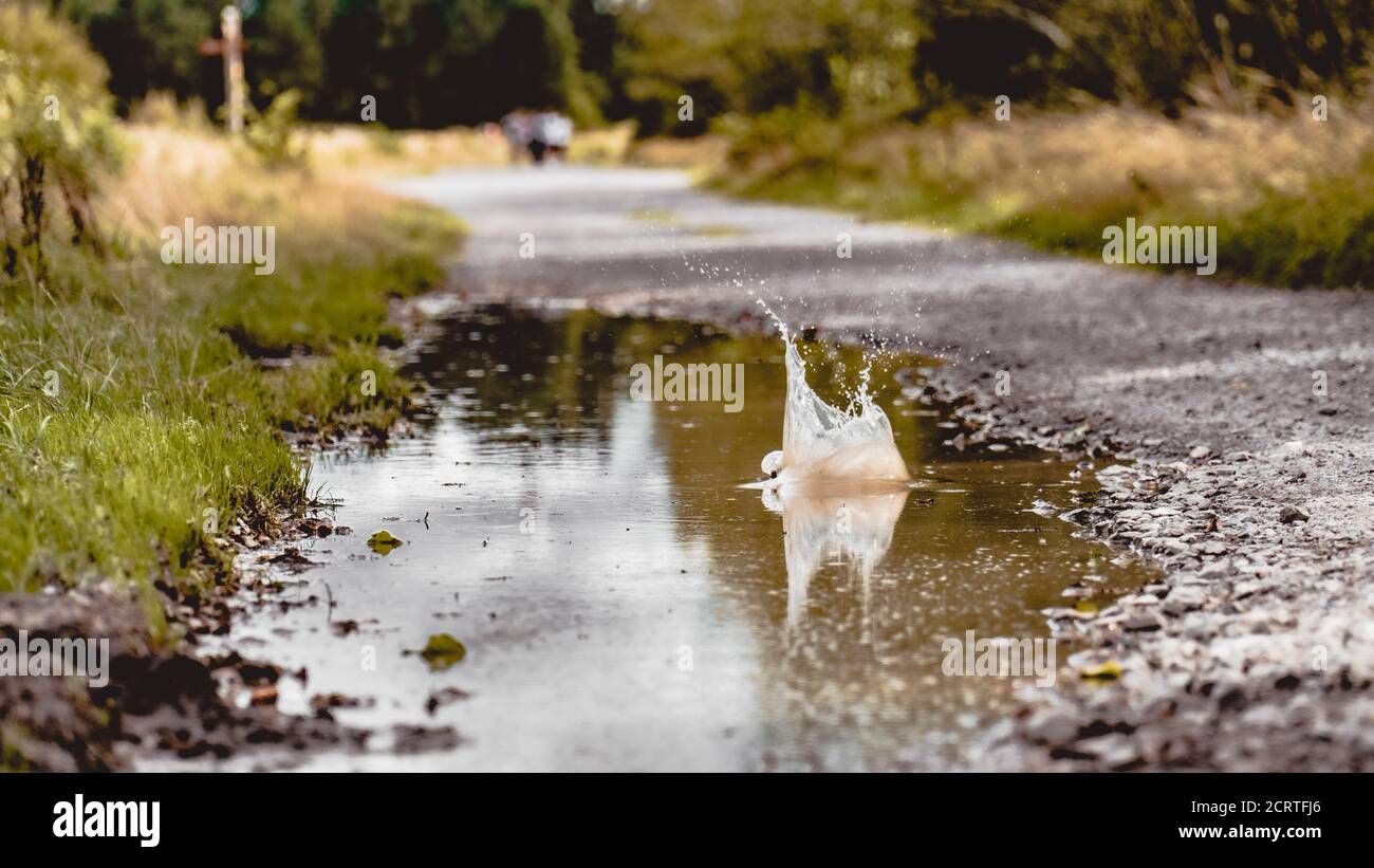Such a nice snapshot of a splash Stock Photo - Alamy