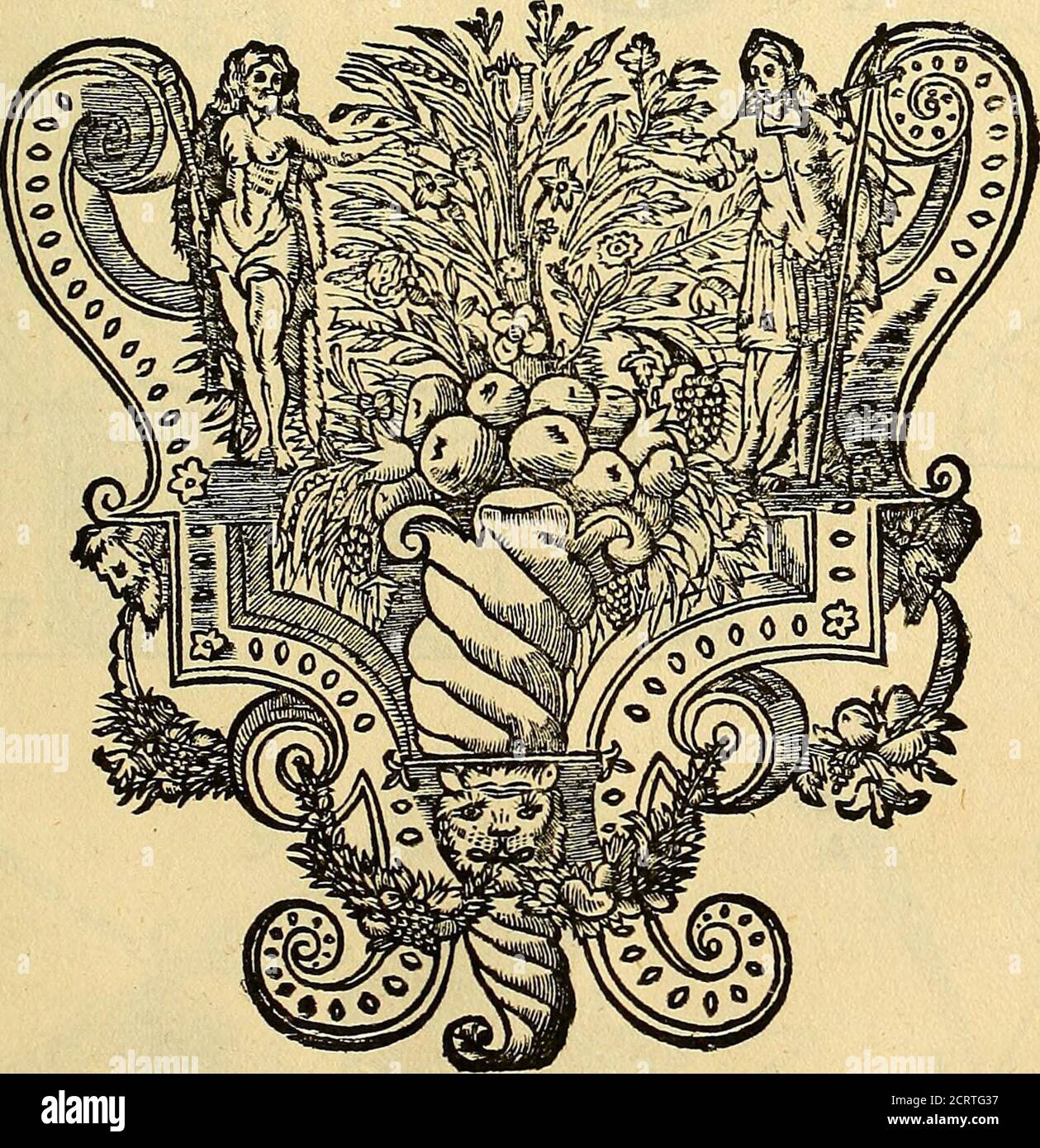 . Nervus opticus sive tractatus theoricus in tres libros opticam ...