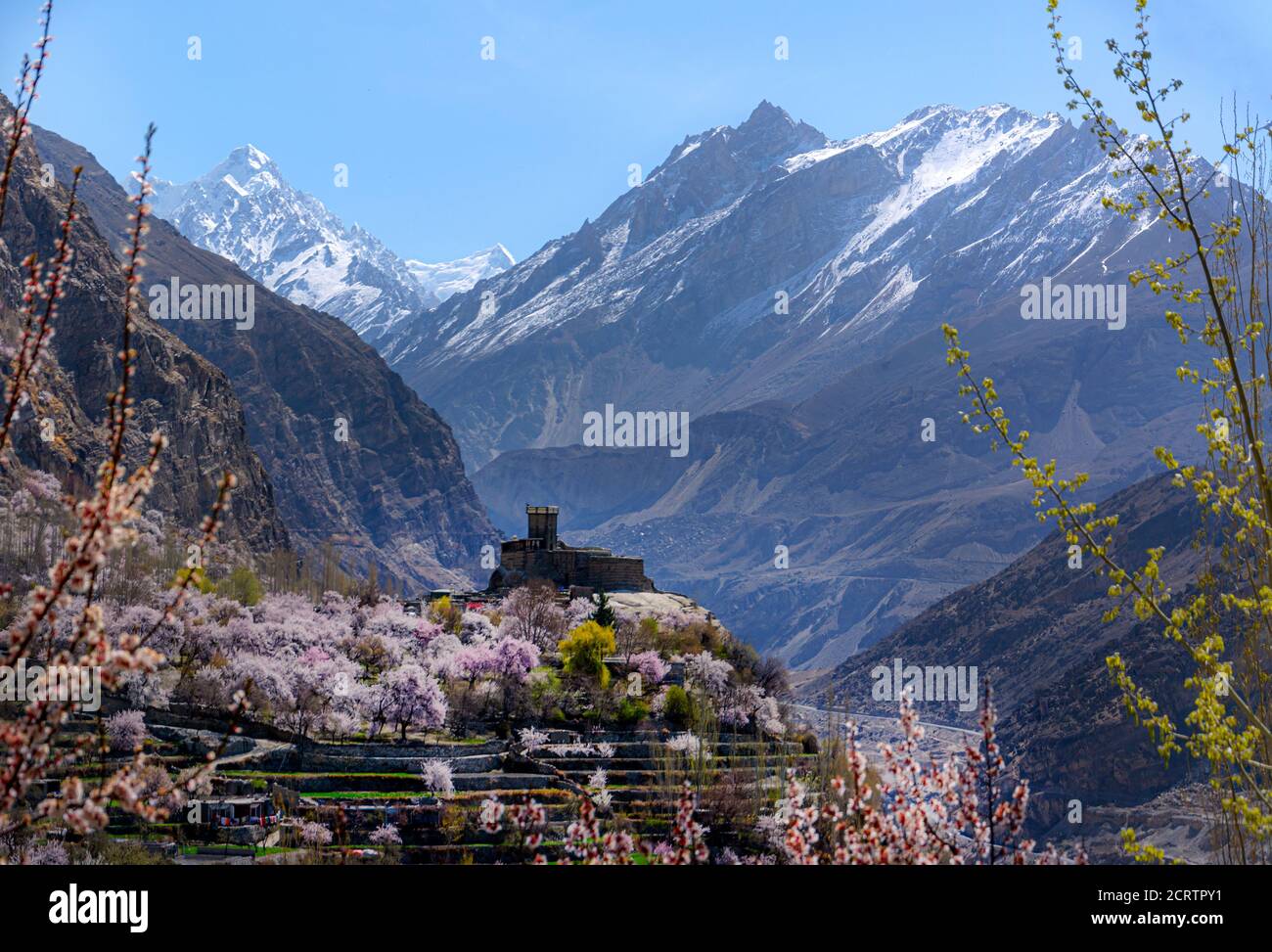 land scape photography od spring , cherry blossom and apricot blossom ...