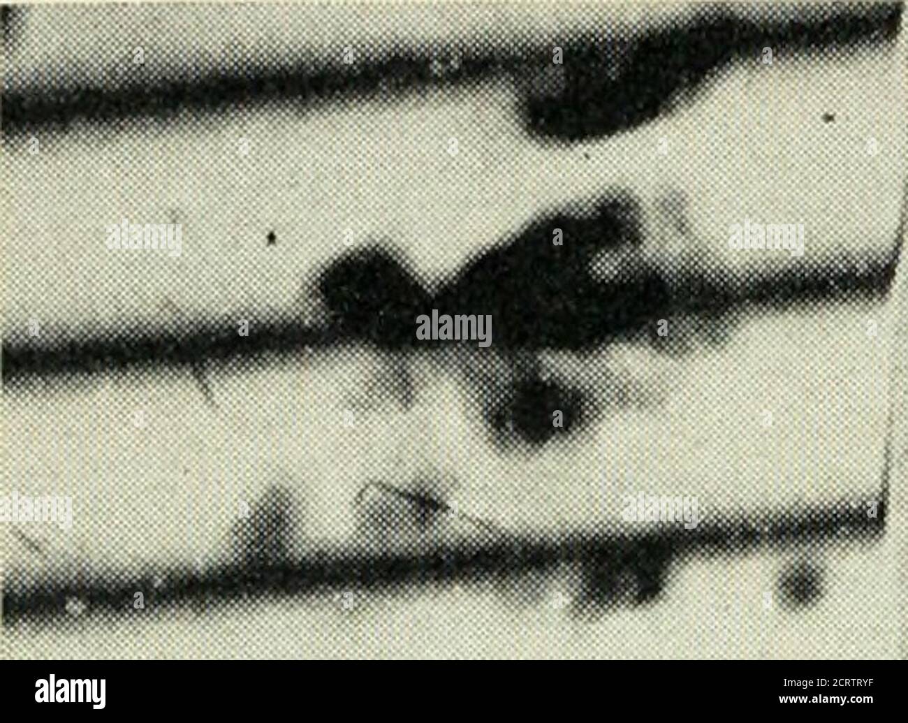 . The Bell System technical journal . 1220 THE BELL SYSTEM TECHNICAL ...