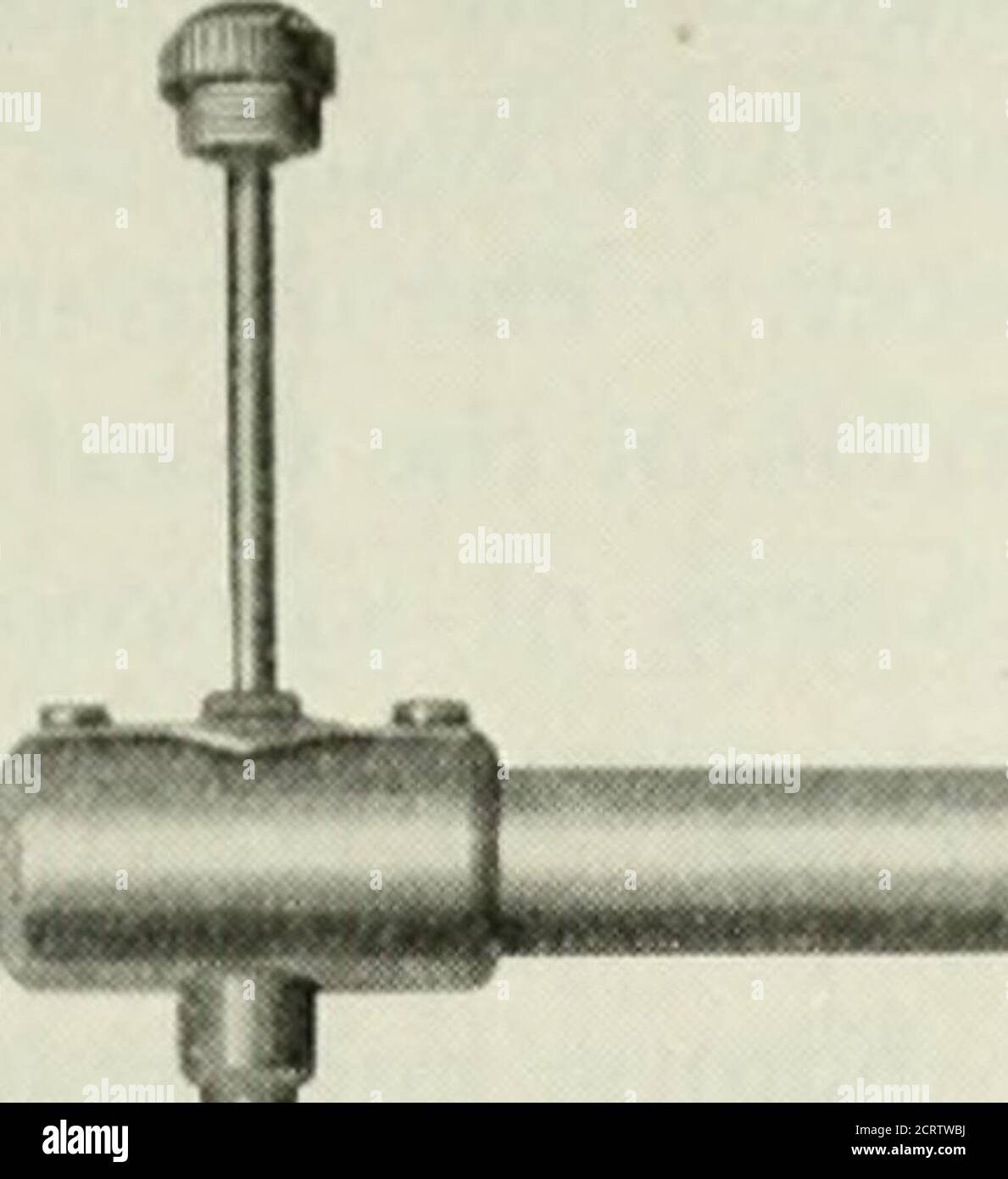 Sapwood Decay High Resolution Stock Photography and Images - Alamy