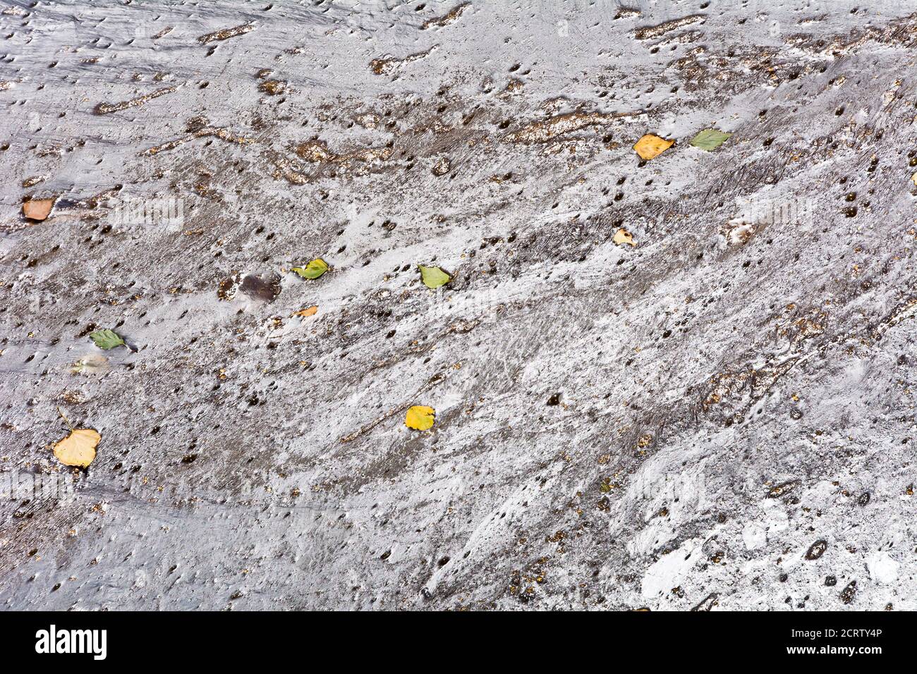 Oily contamination on the water surface Stock Photo - Alamy