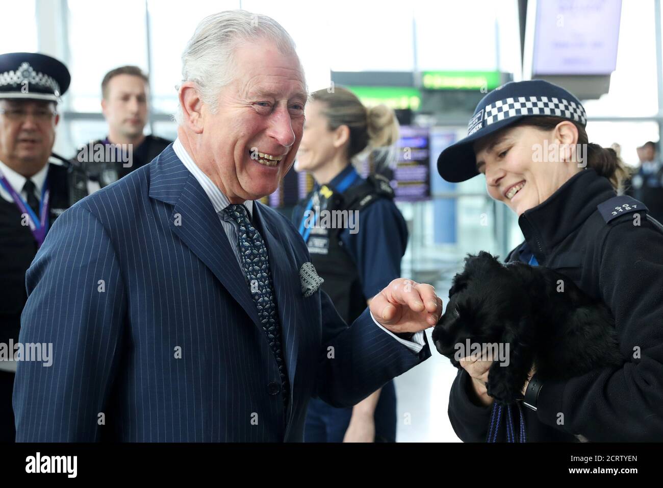 Prince Charles Spaniel High Resolution Stock Photography and Images - Alamy