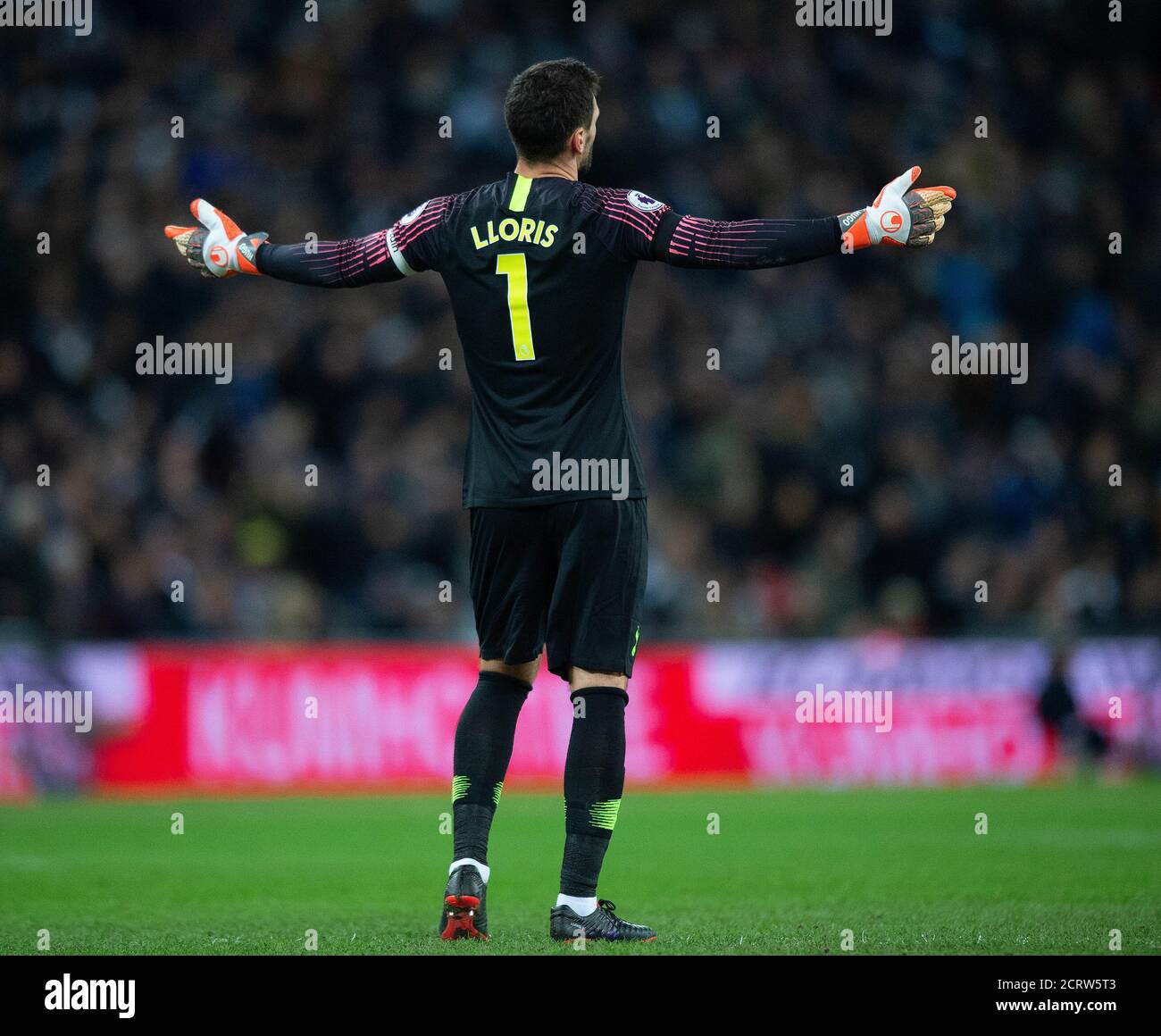 Lloris hi-res stock photography and images - Alamy