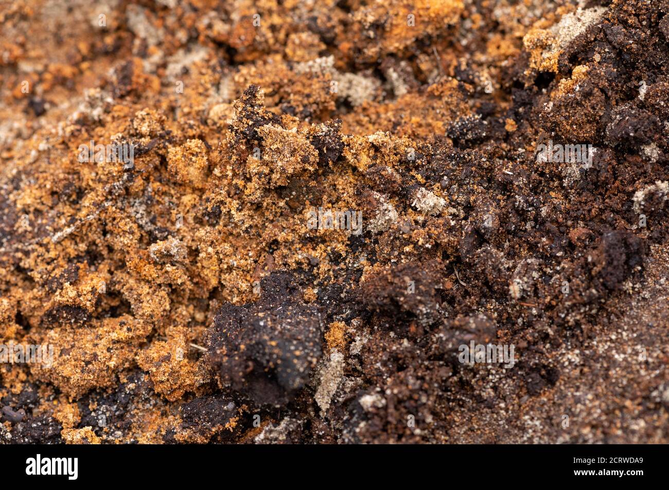 Surface texture of a mixture of sand and earth, close-up Stock Photo ...