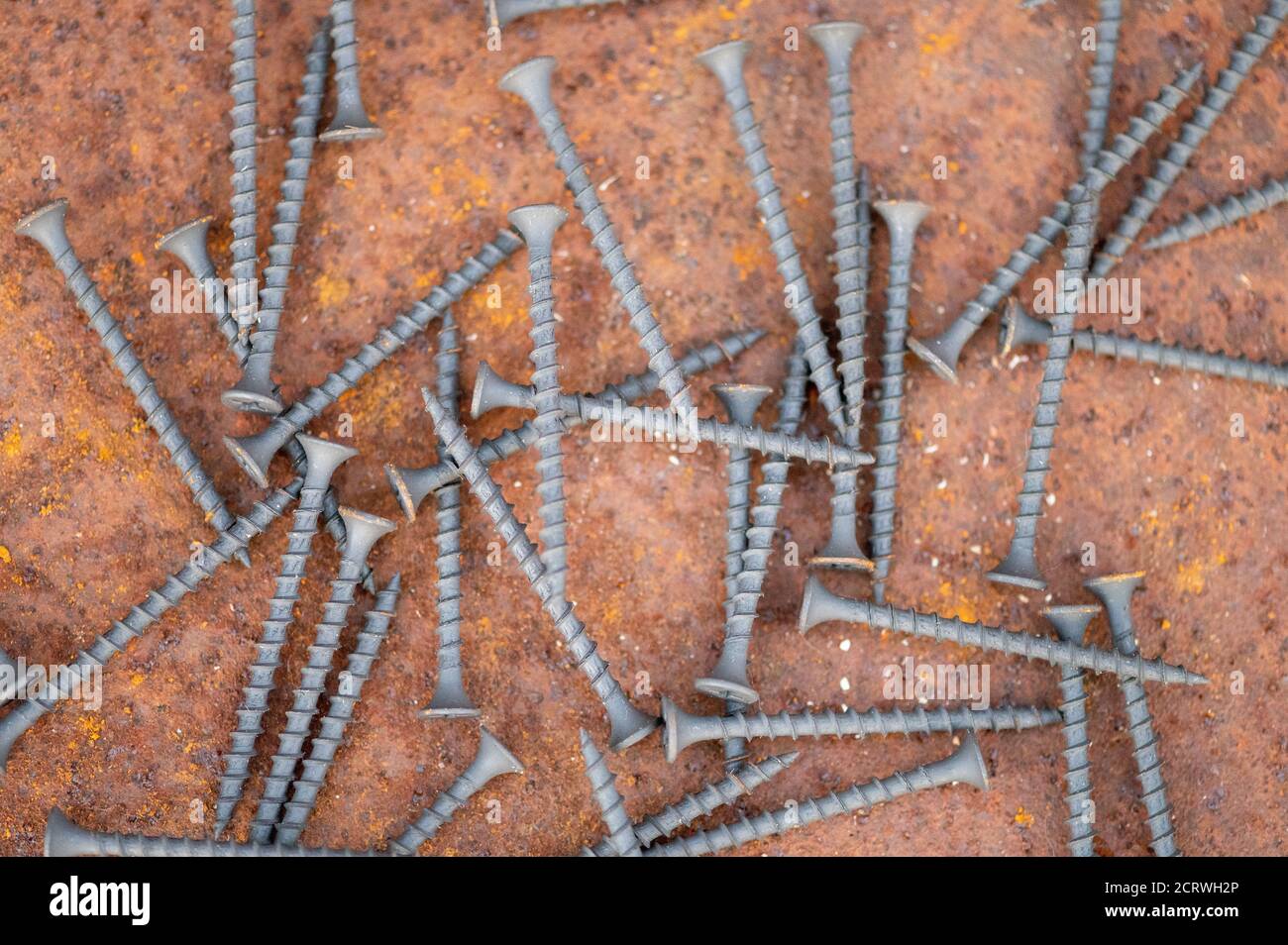 Black self-tapping screws scattered on a rusty sheet of metal, close-up ...