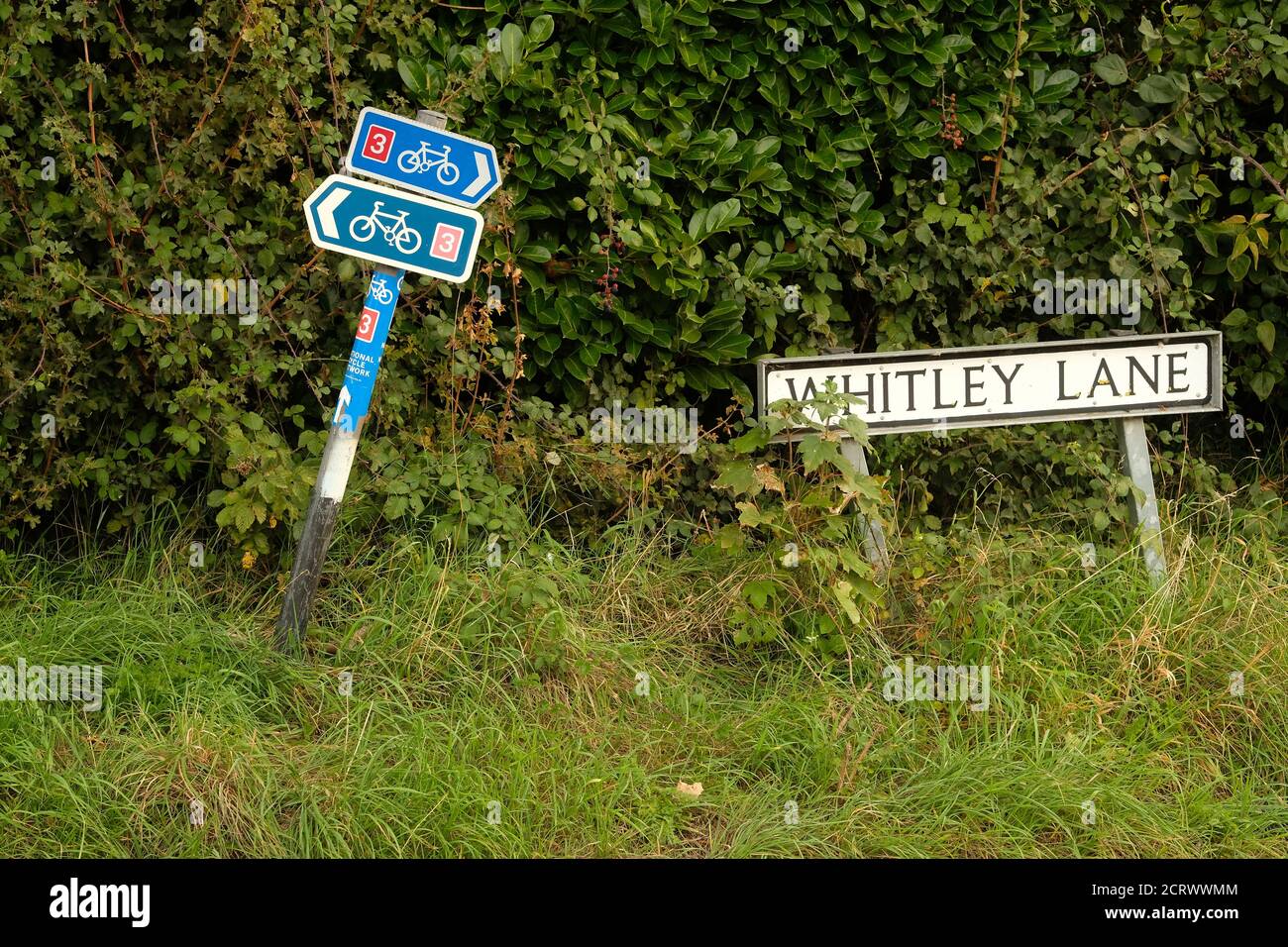 Wonky signs hi-res stock photography and images - Alamy