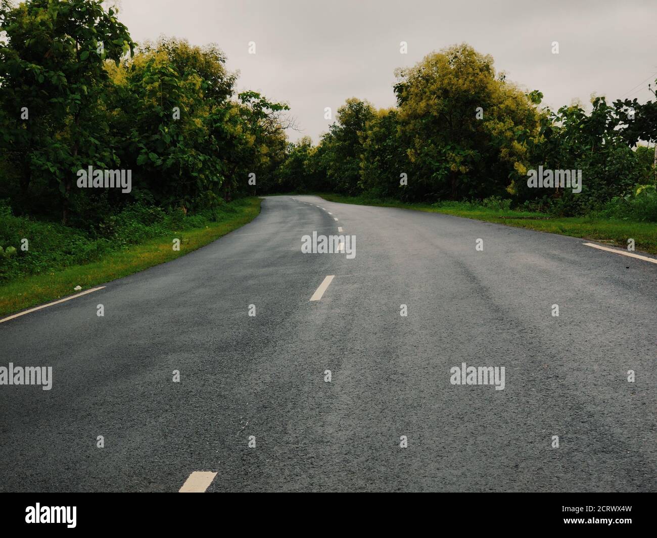 Beautiful shot of a curved asphalt road surrounded with trees and grass ...