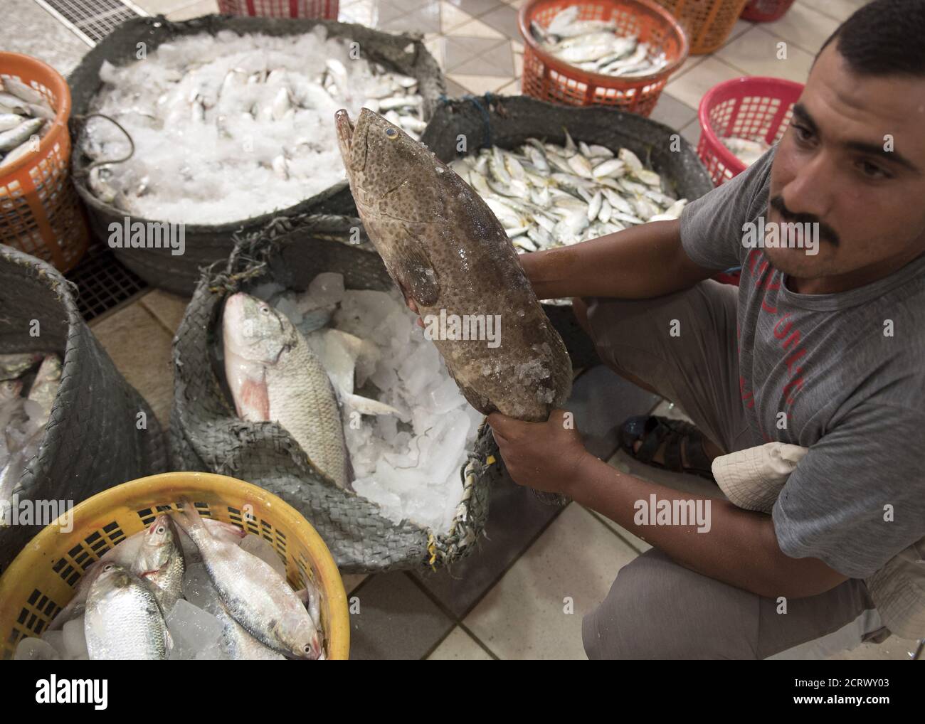Kuwait Fish Market High Resolution Stock Photography and Images - Alamy