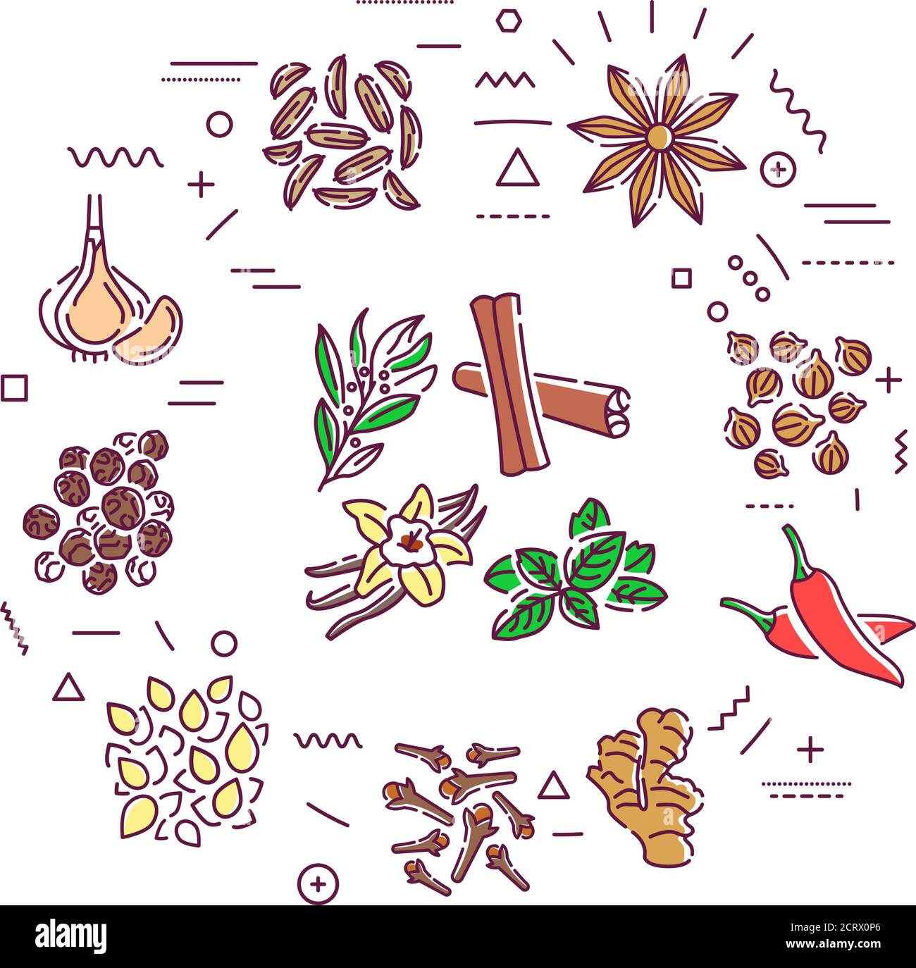 Spice web banner. Cooking ingredient. Infographics with linear icons on ...