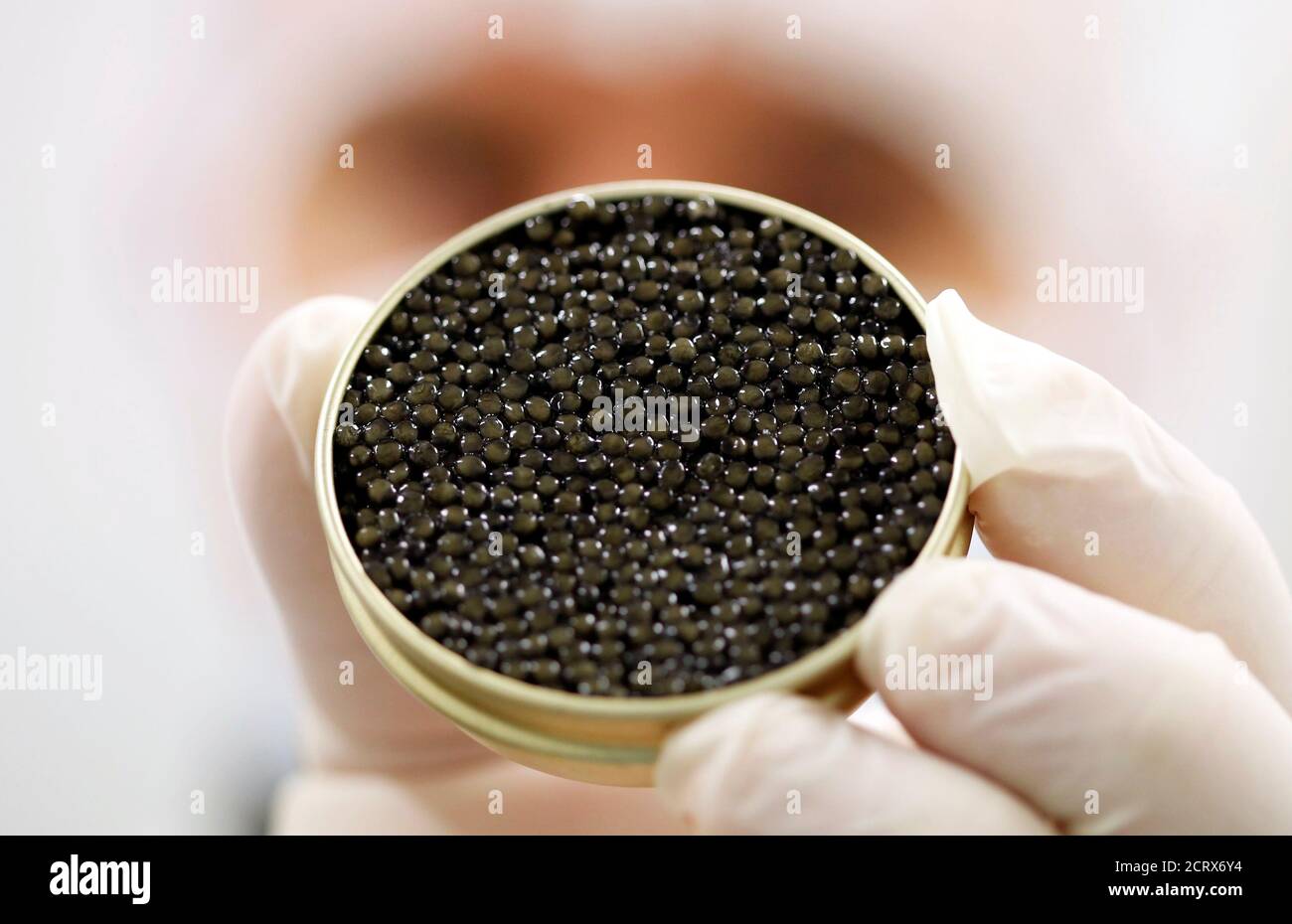 Caviar sturgeon france hi-res stock photography and images - Alamy