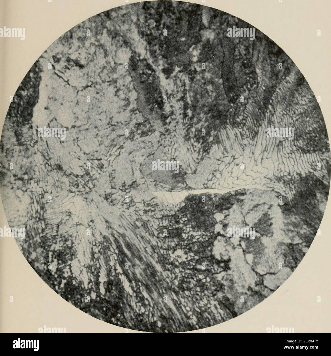 . The Bell System technical journal . Fig. 12—Mag. 3500X. Fig. 12 ...