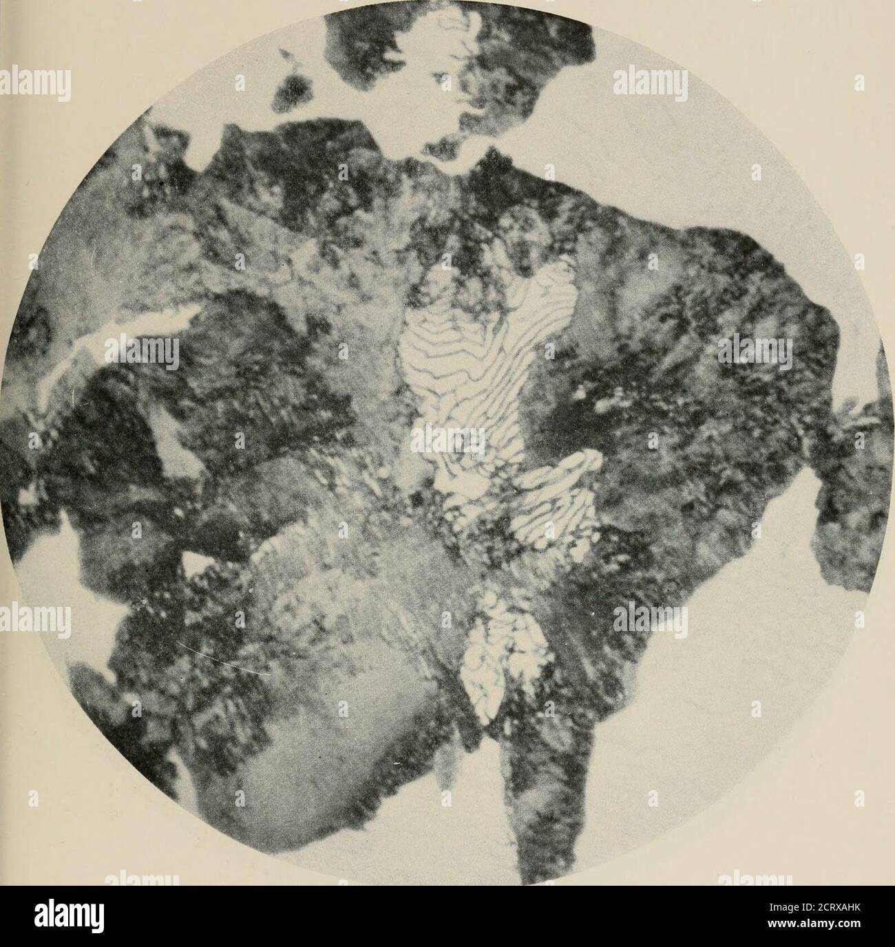 . The Bell System technical journal . Fig. 10—Mag. 3500X. STRUCTURE AND ...