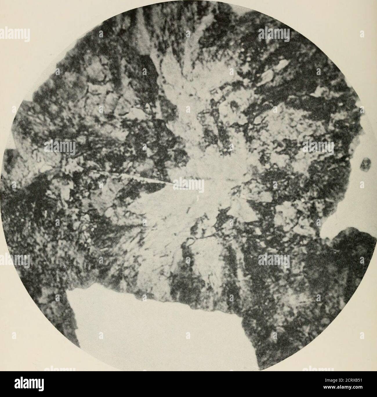 . The Bell System technical journal . Figs. 9 and 10—Mag. 3500X. Figs ...