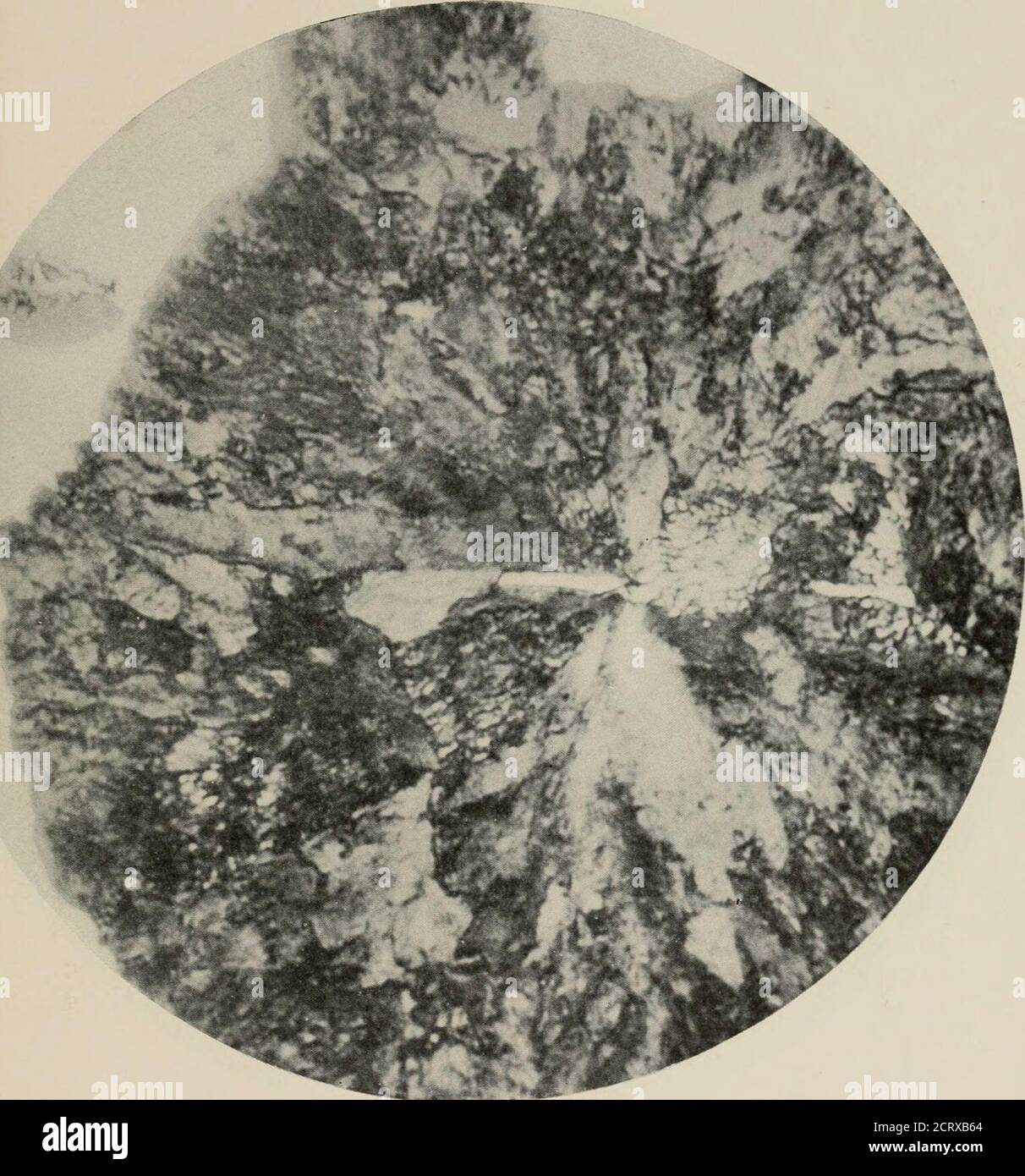 Troostite hi-res stock photography and images - Alamy