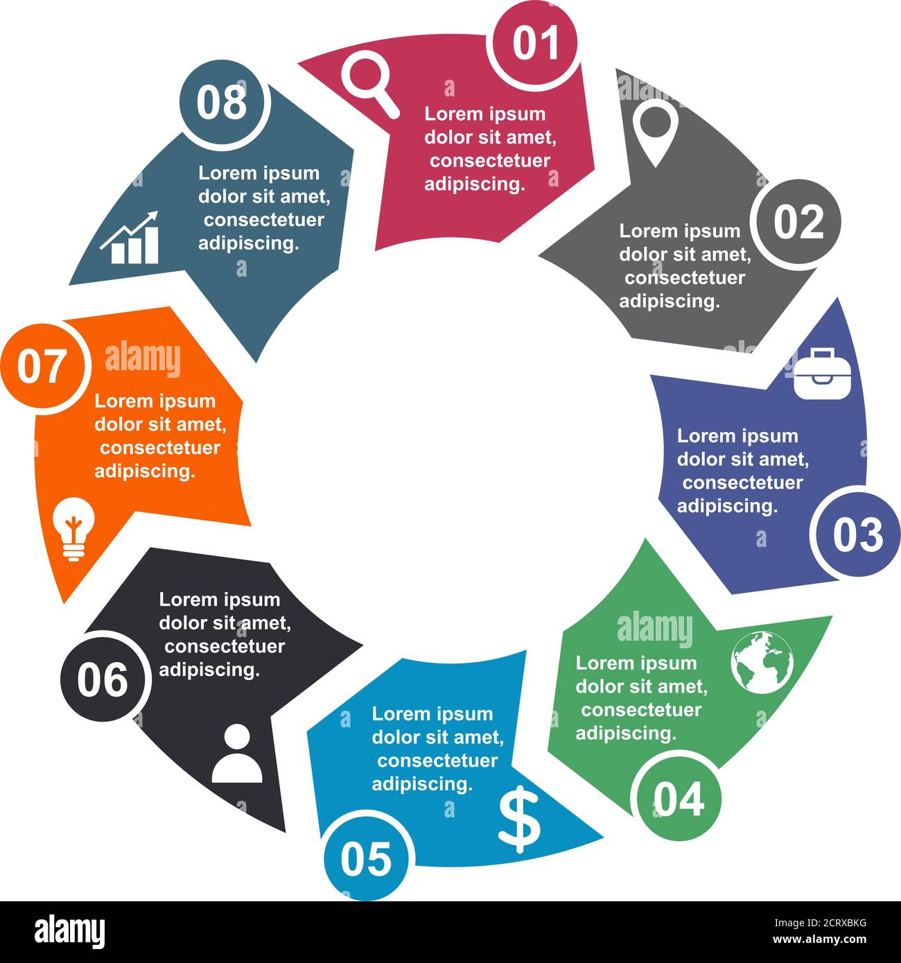 8 step vector element in eight colors with labels, infographic diagram ...