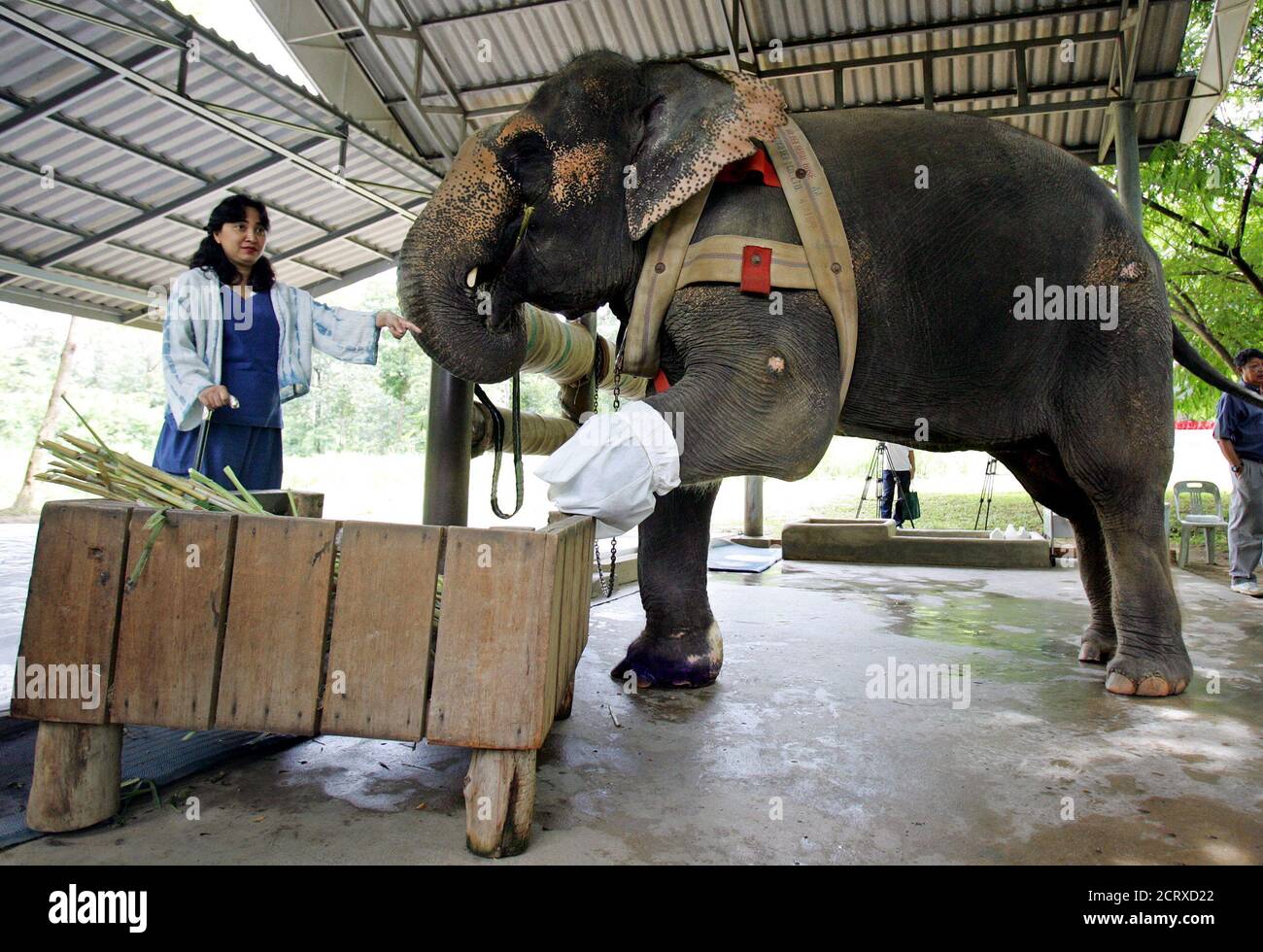 Female artificial limb asian hi-res stock photography and images - Alamy