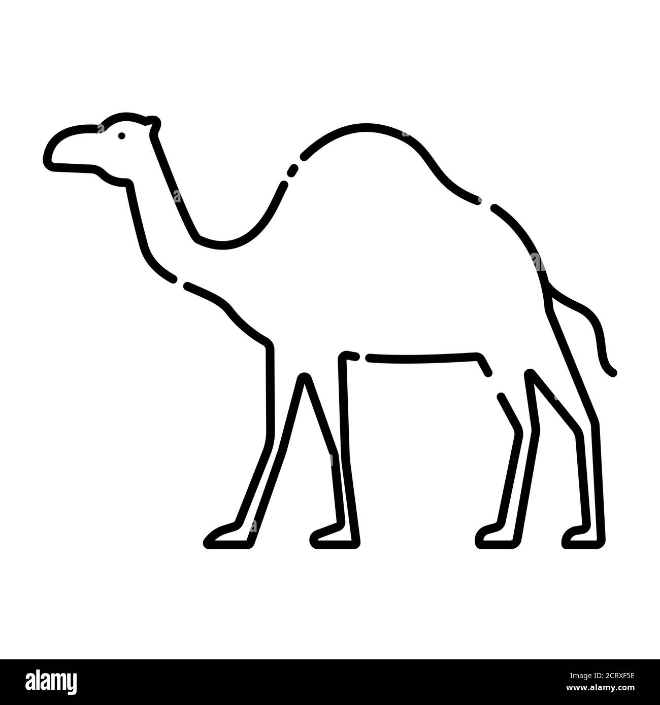 Camel black line icon. Pictogram for web page, mobile app, promo. UI UX ...