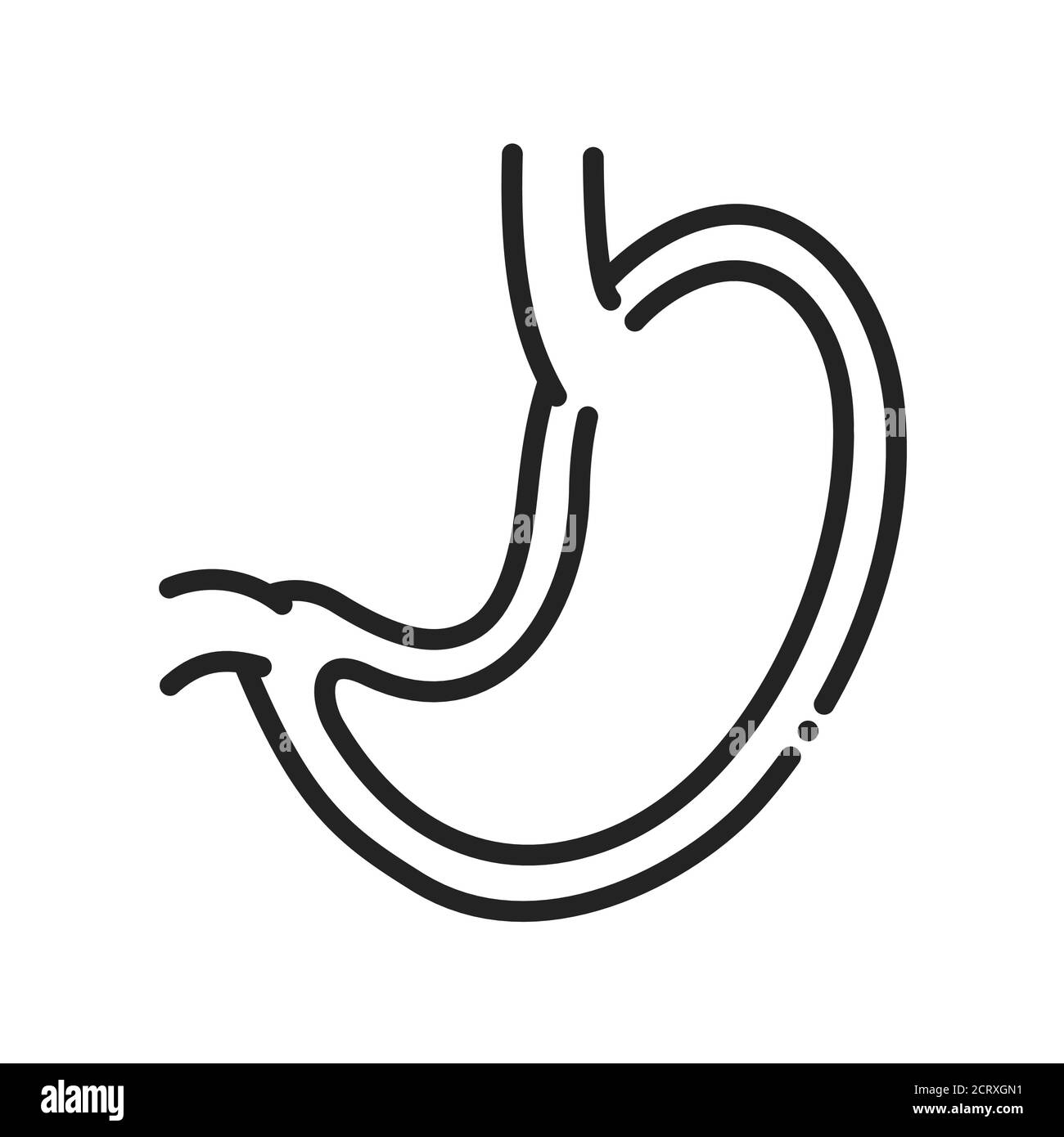 Gastroenterology black line icon. Stomach line color icon. Human organ ...