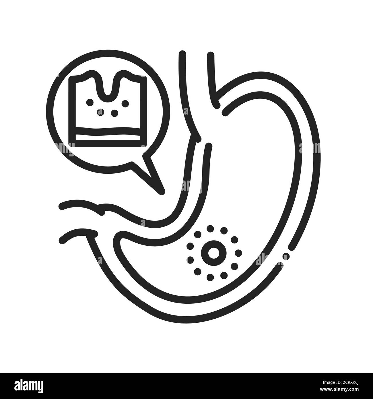 Gastric anatomy Black and White Stock Photos & Images - Alamy