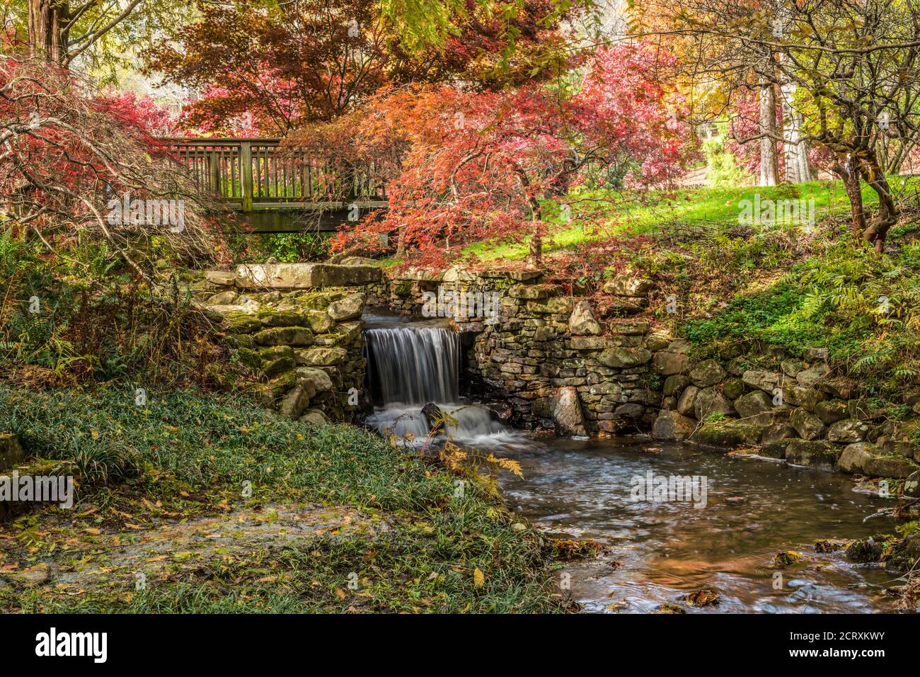 A creek flowing underneath the wooden bridge spilling into a small ...