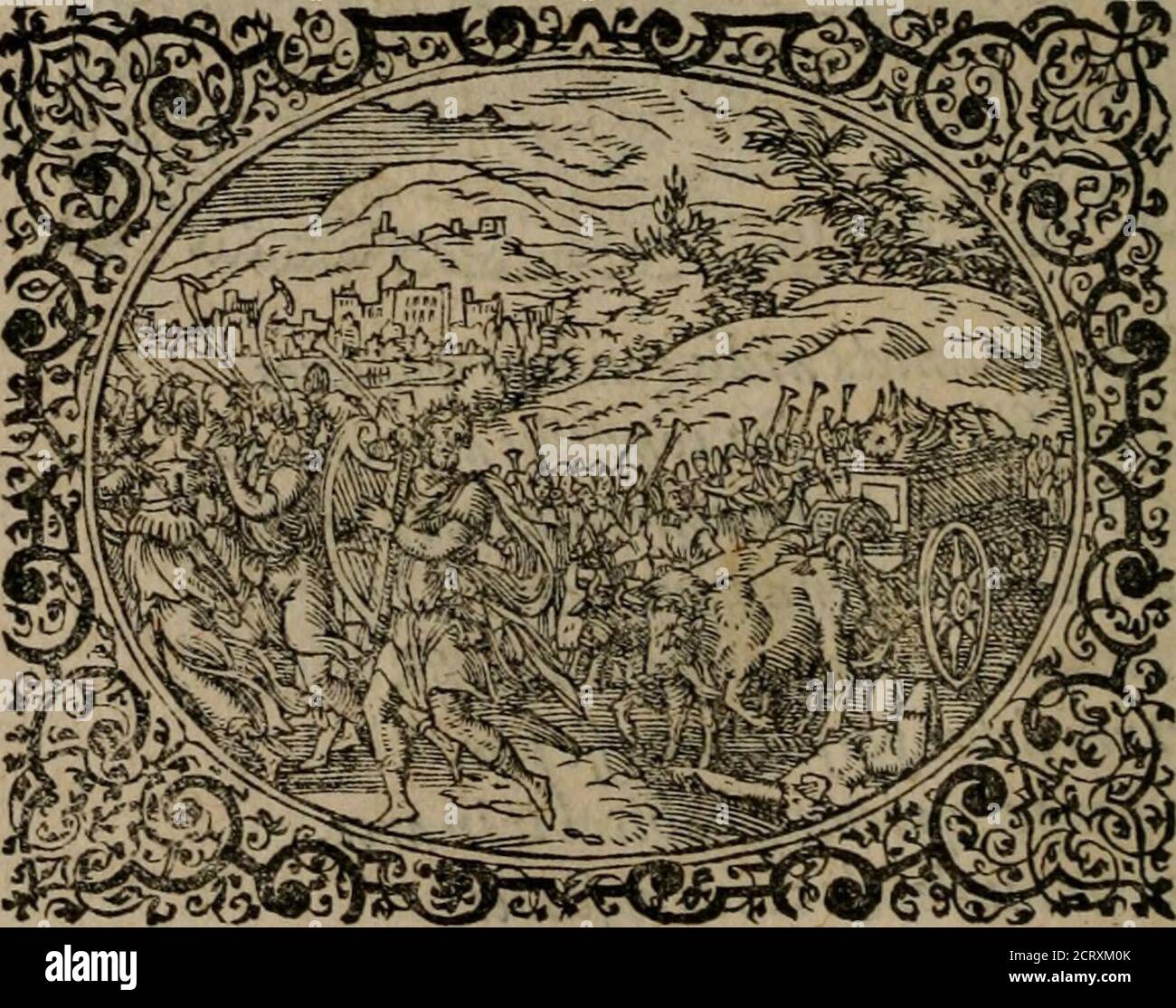 Volucres hi-res stock photography and images - Alamy