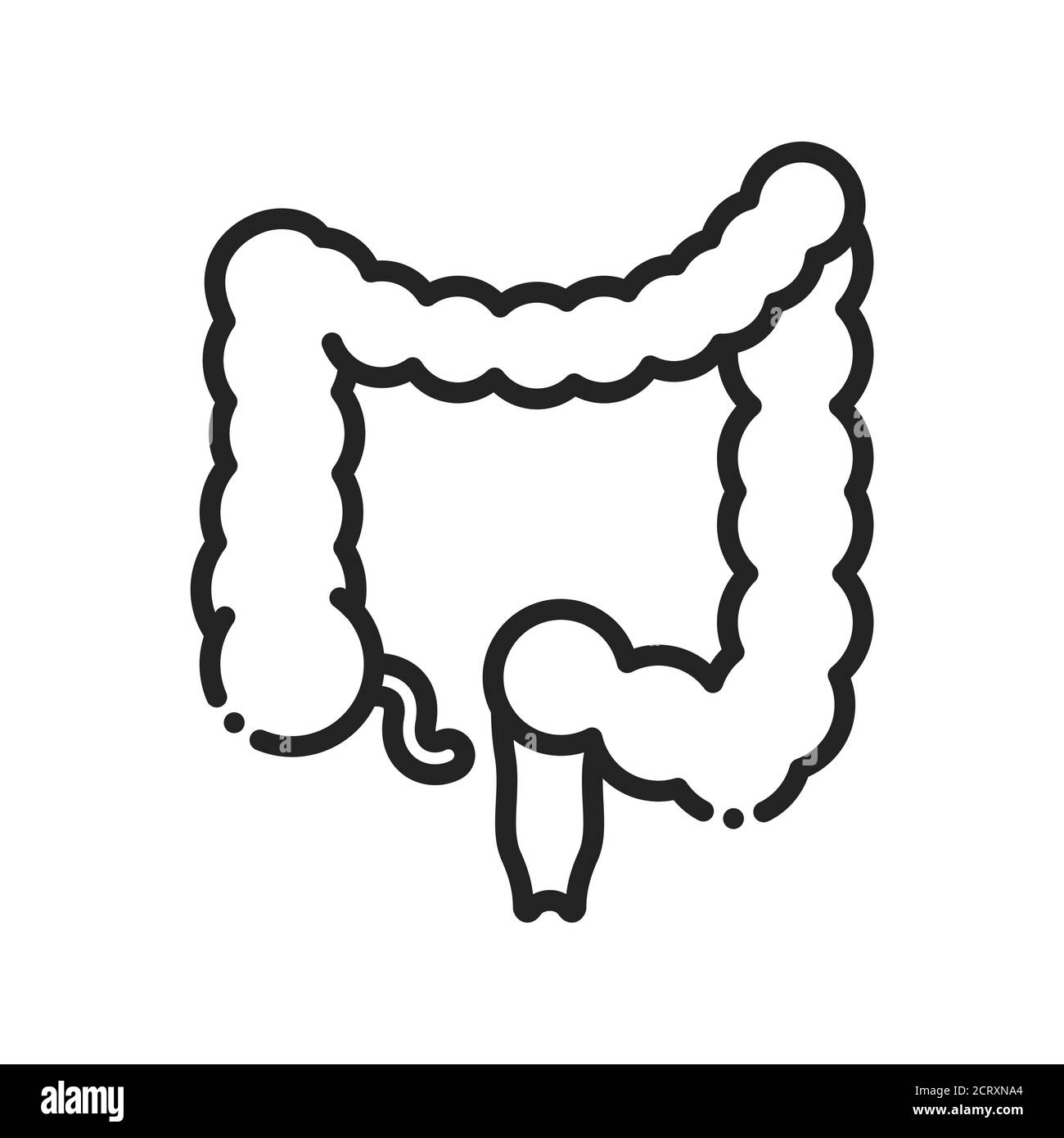 Digestive system drawing Stock Vector Images - Alamy