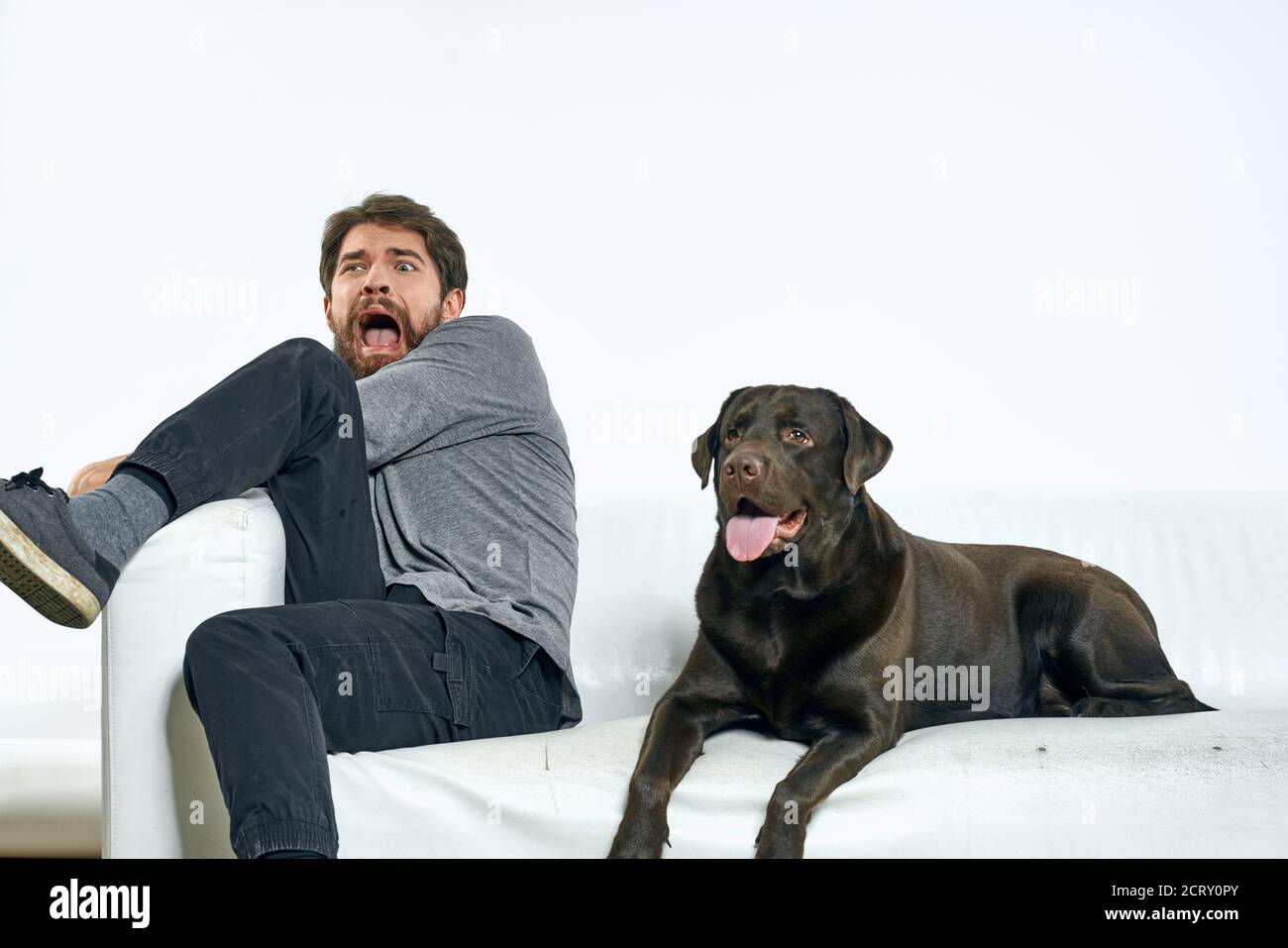 Happy man and dog on the couch In a bright room pet is a friend of man ...