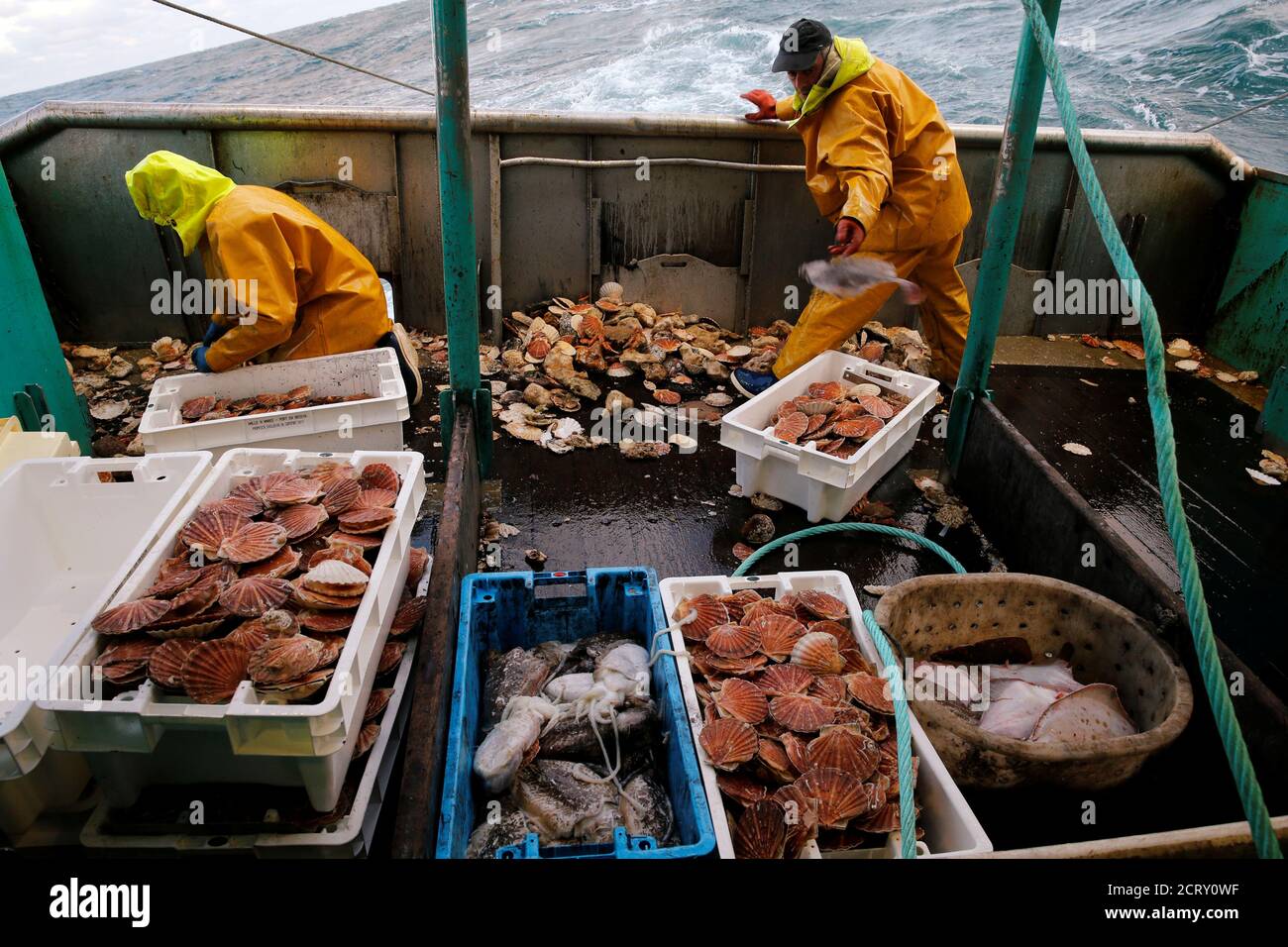 Deck scallop hi-res stock photography and images - Alamy