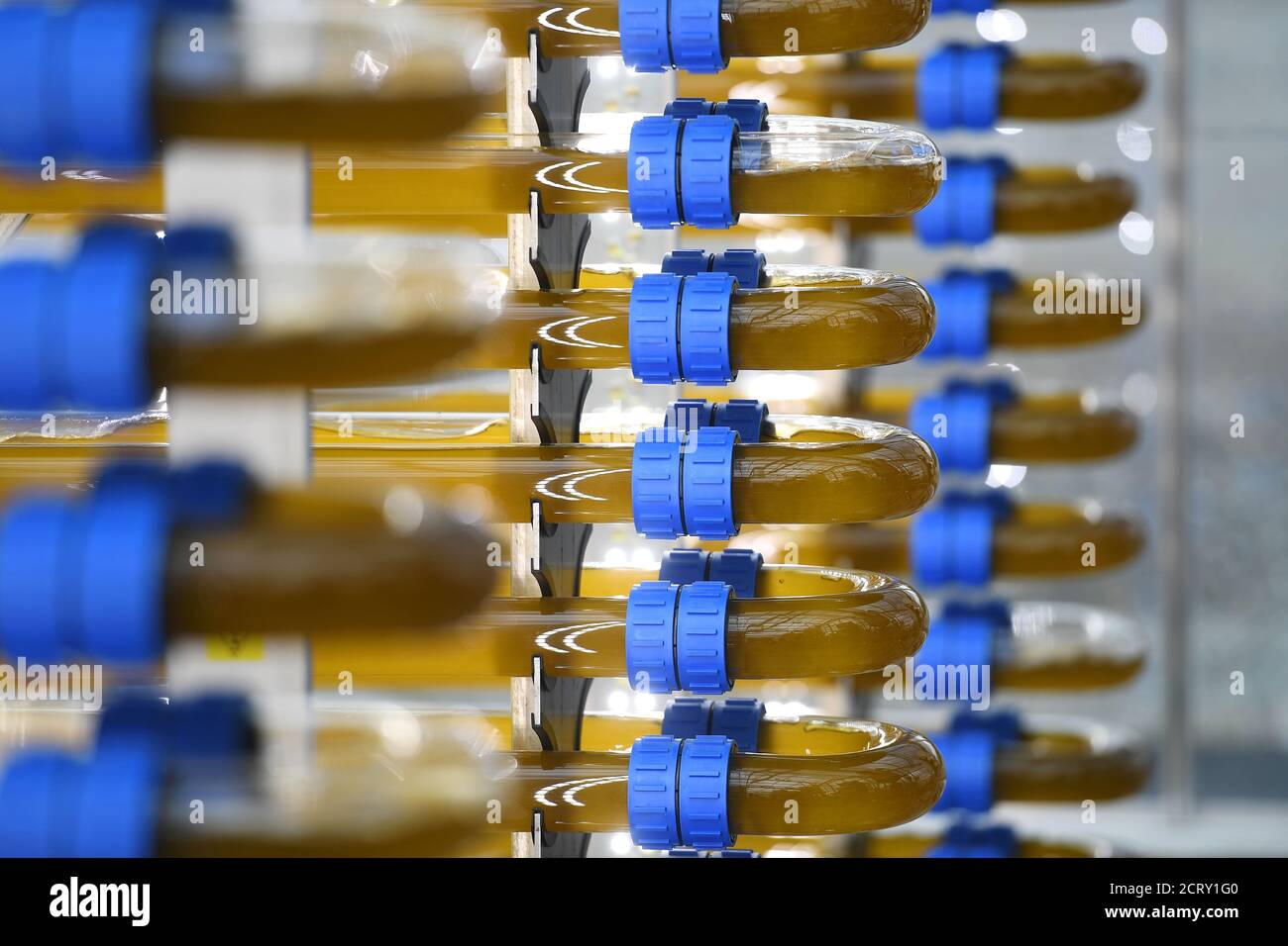 Algae oil in tubes hi-res stock photography and images - Alamy