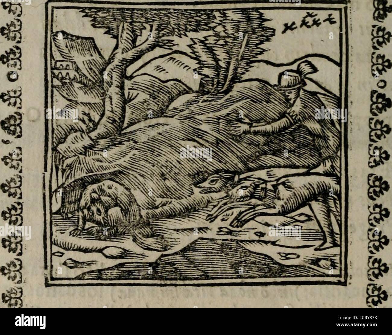 Historias humanas hi-res stock photography and images - Alamy