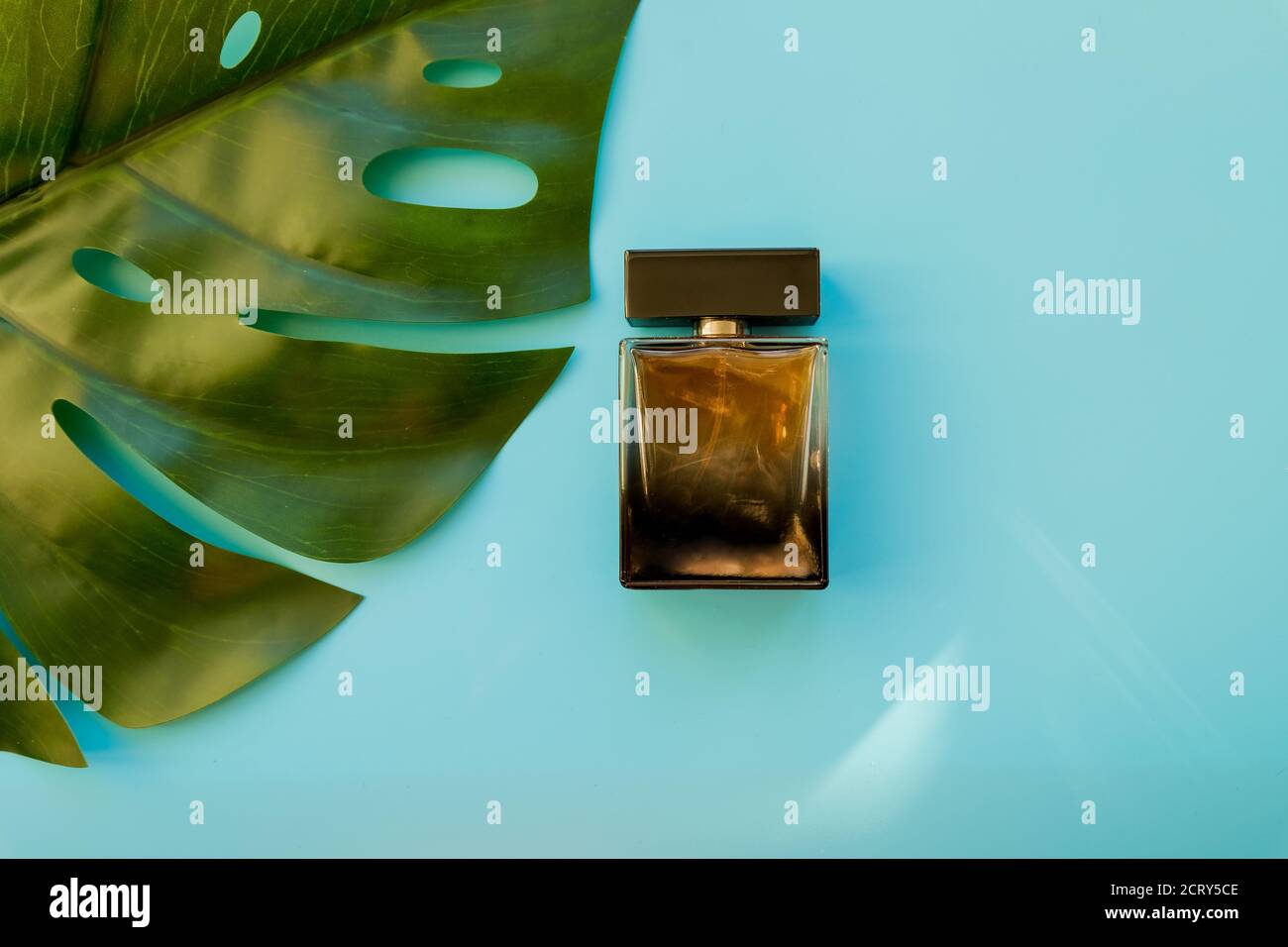 Bottle of perfume and green leaf.Big tropical leaf and bottle of ...