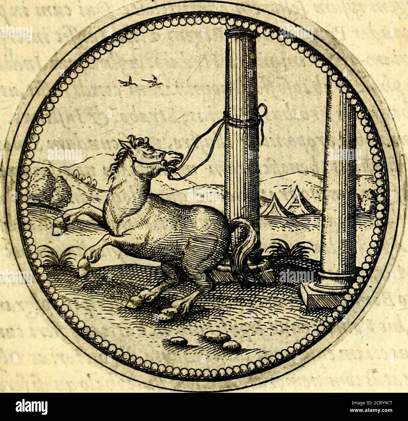 Laxans hi-res stock photography and images - Alamy