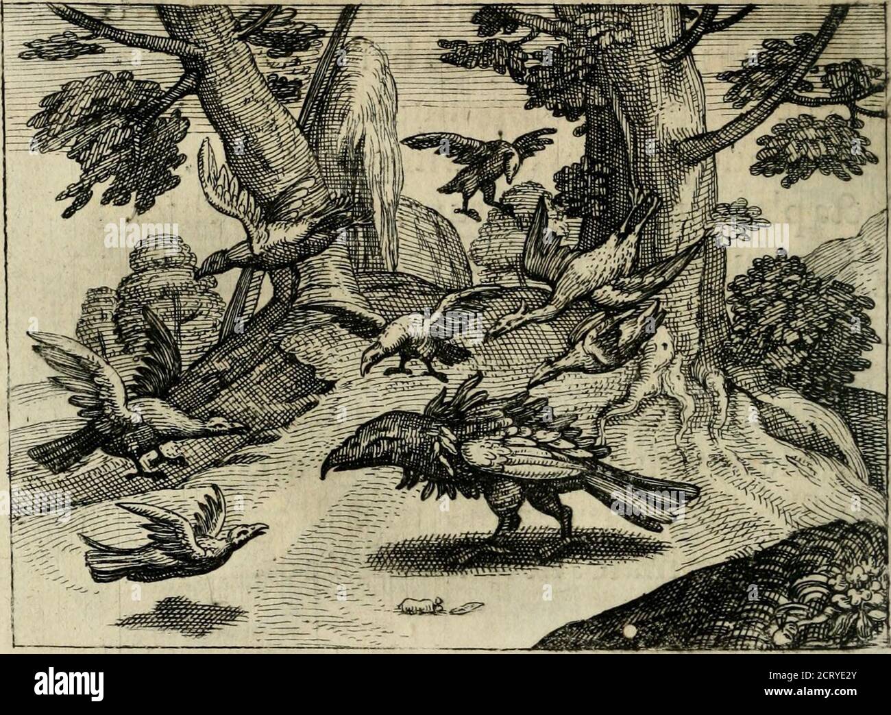 Rapidos hi-res stock photography and images - Alamy