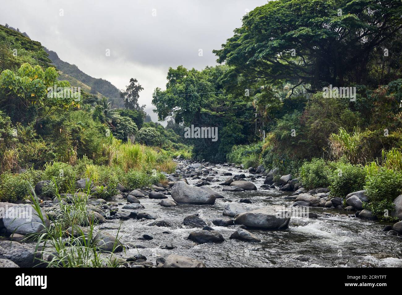 Hawaii cookout hi-res stock photography and images - Alamy