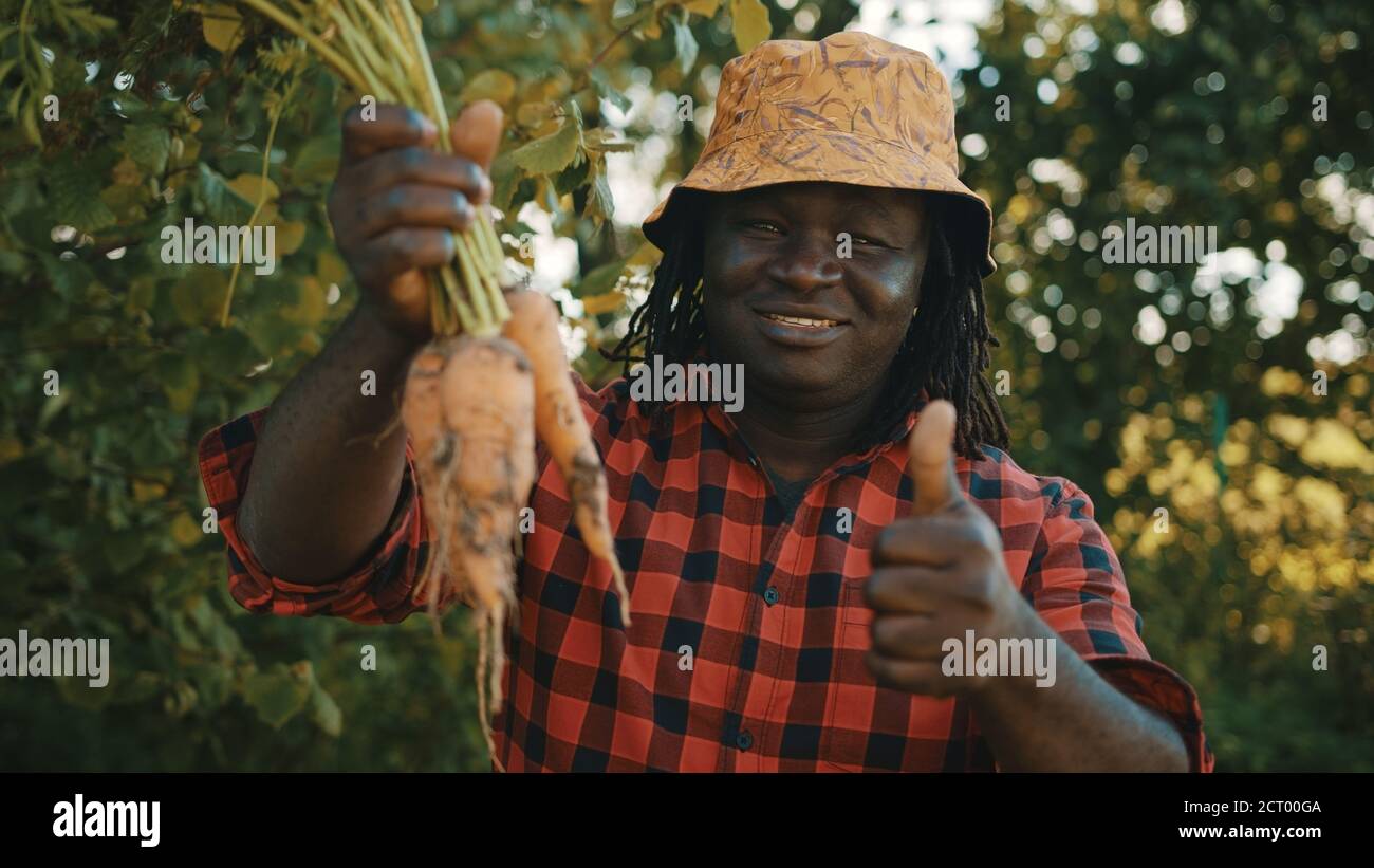 Satisfied african farmer showing freshly hi-res stock photography and ...