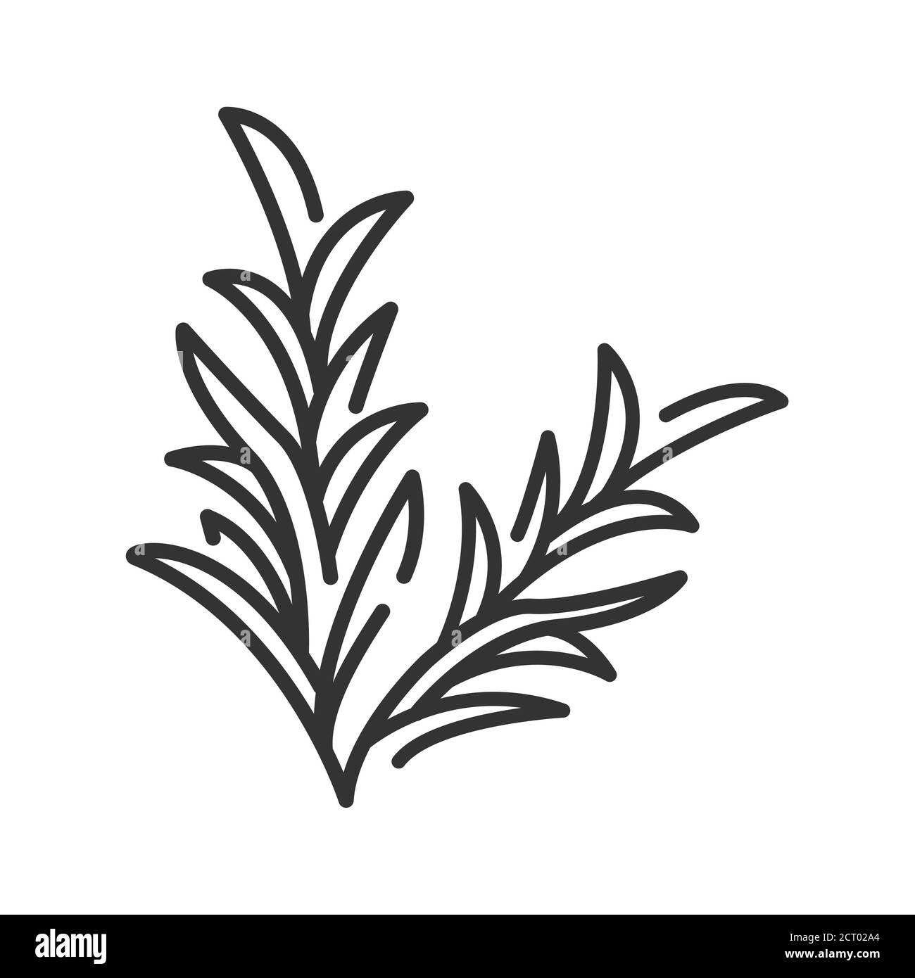 Rosemary branch black line icon. Herbs and spices. Cooking ingredient ...