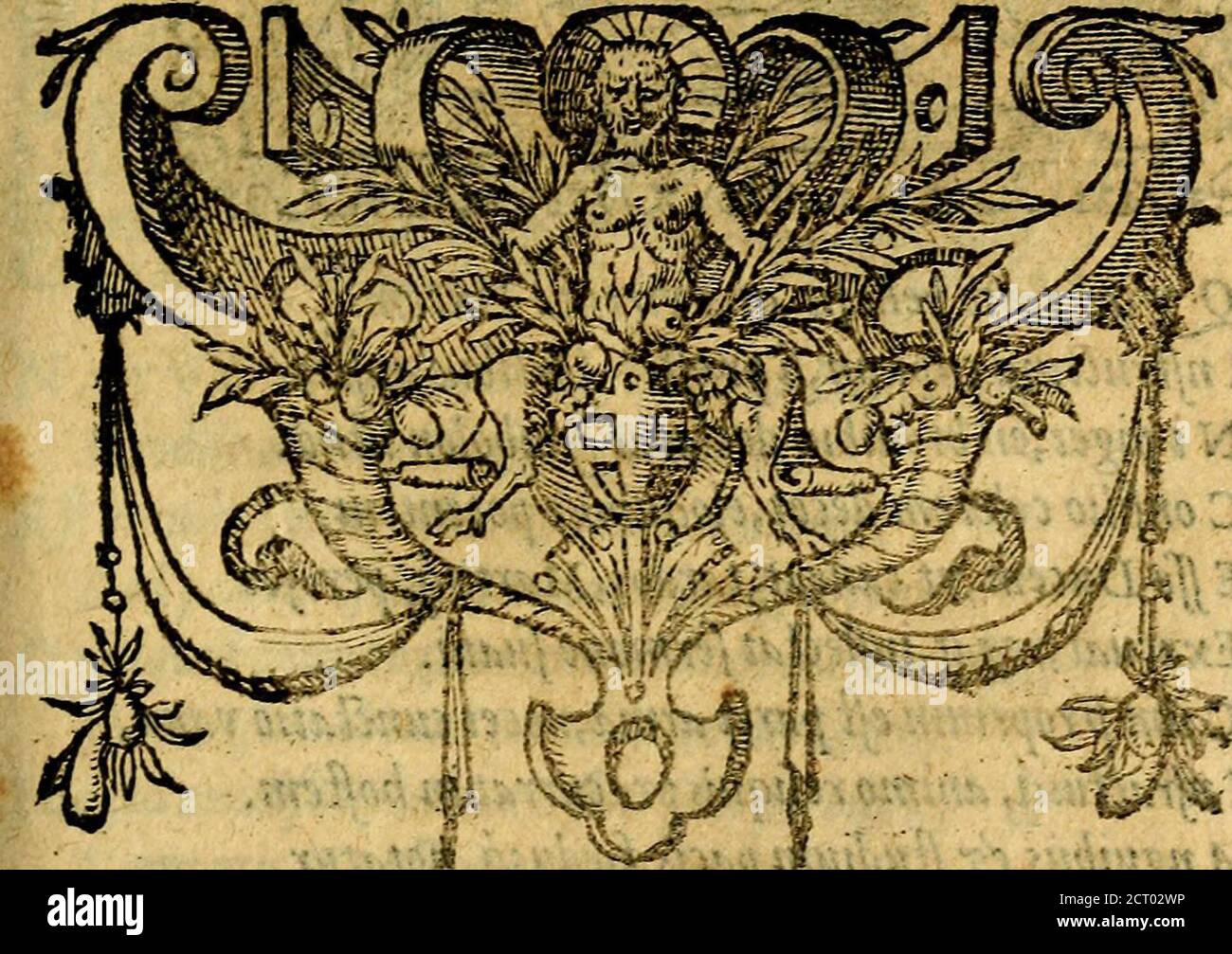 Origo mare hi-res stock photography and images - Alamy