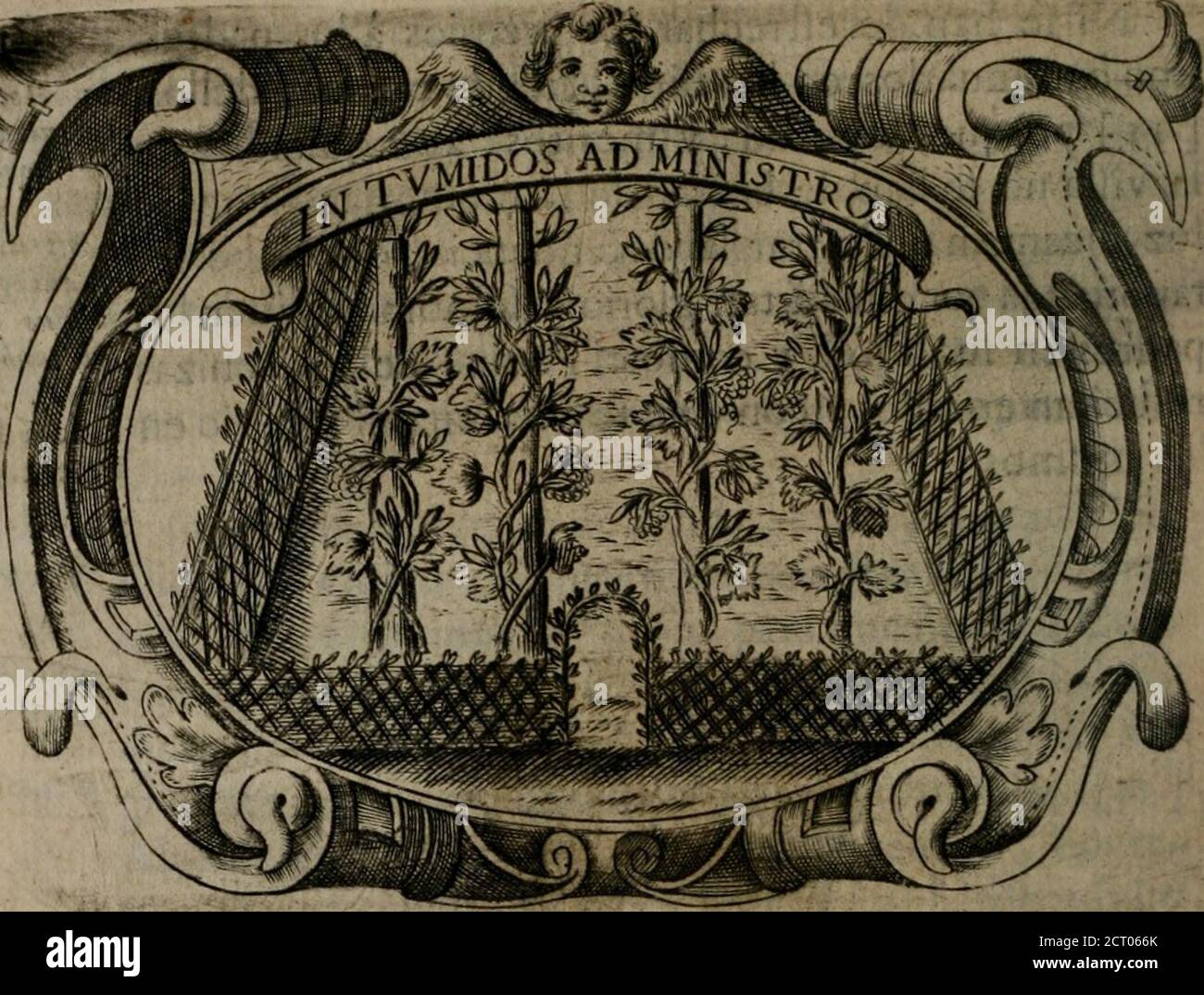 8 vanos hi-res stock photography and images - Alamy