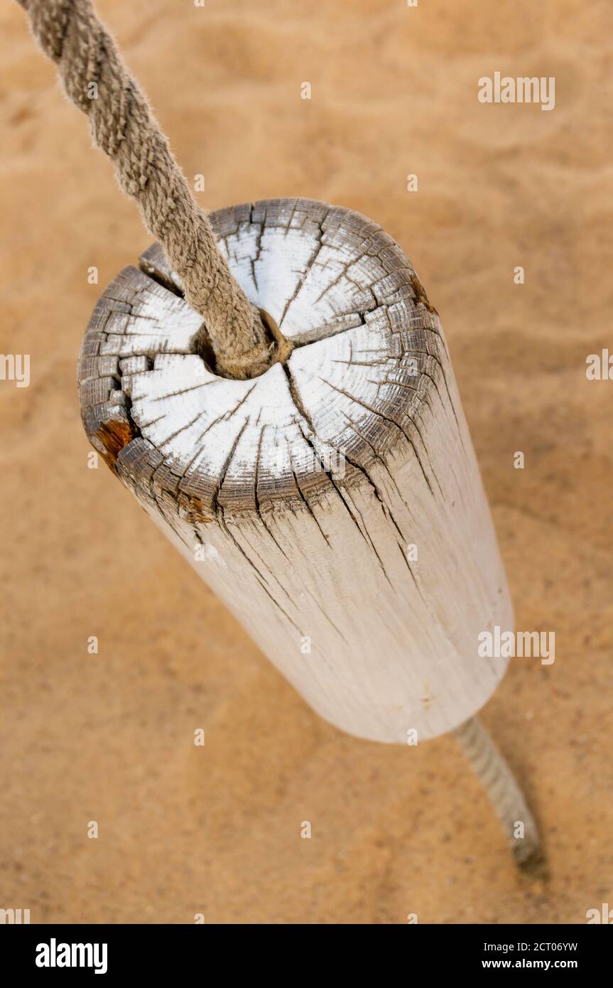 Vertical shot of a sawed tree stump on a rope Stock Photo - Alamy